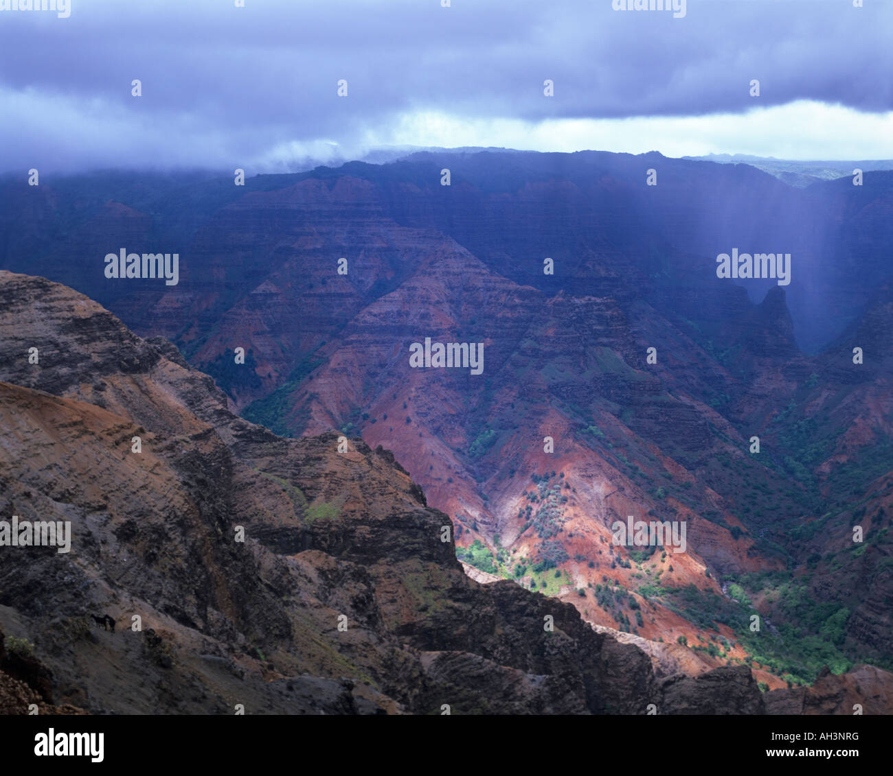 Kaui island hi-res stock photography and images - Alamy