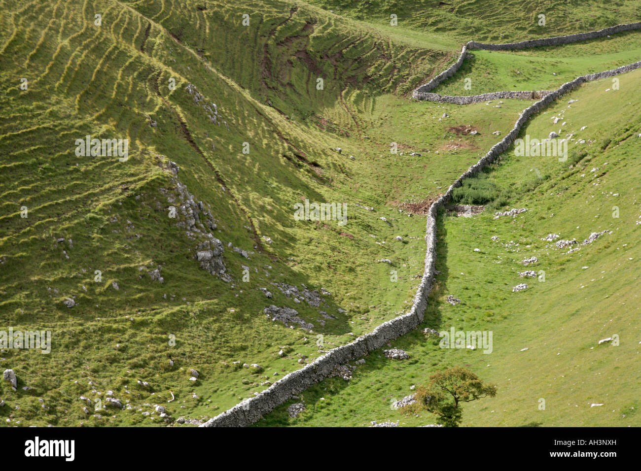 Dry stone walls at Constone Dib, Yorkshire Dales, England Stock Photo ...