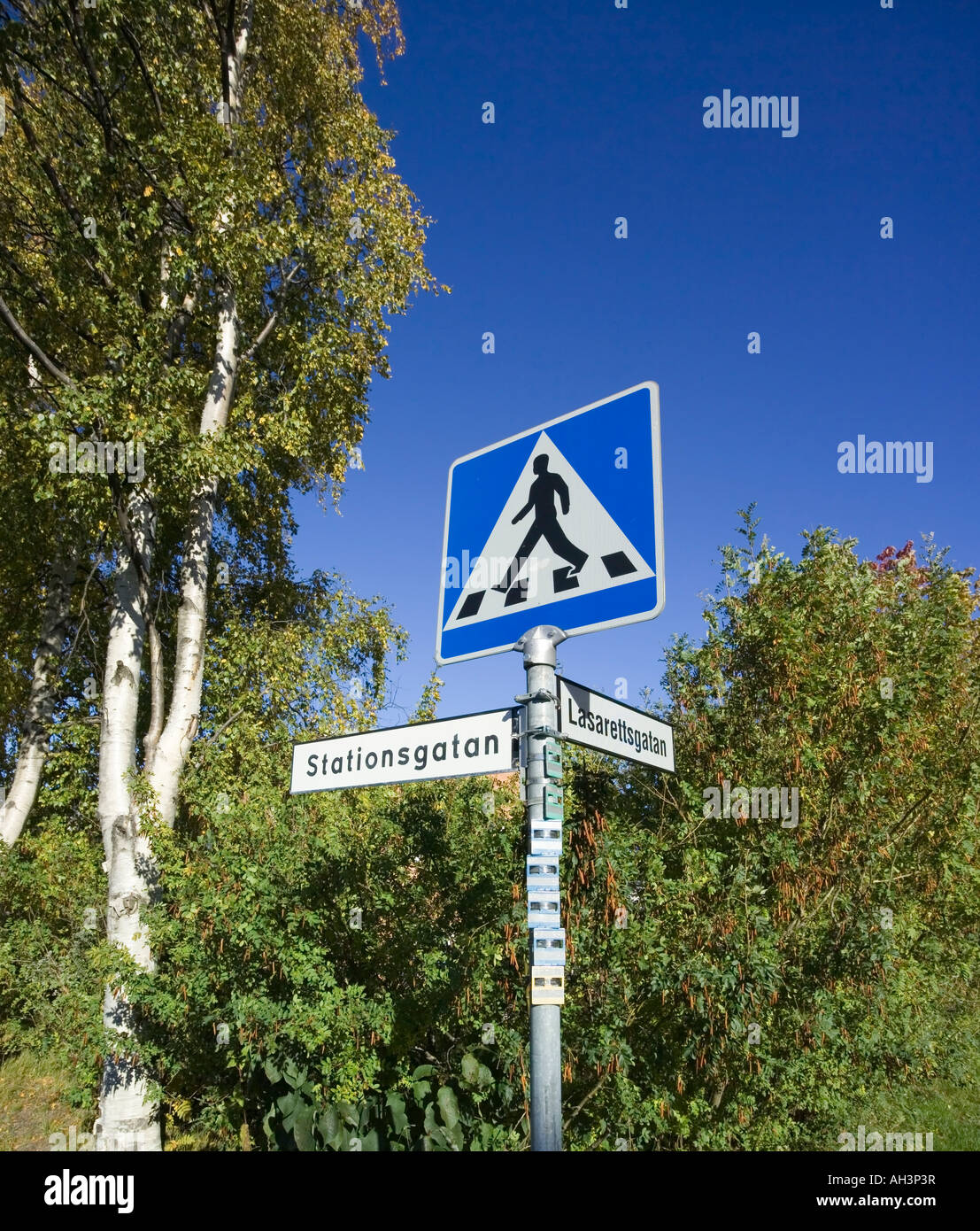 Swedish pedestrian crossing sign hi-res stock photography and images ...