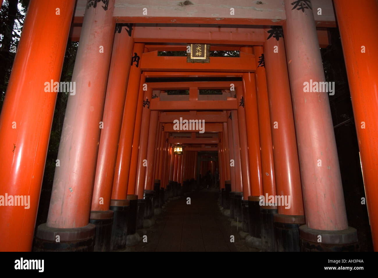 many torii gates Fushimi Inari Taisha jinja Shrine Kyoto city Honshu ...