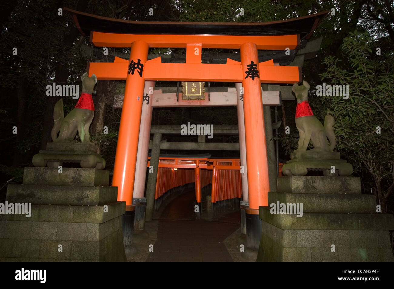 many torii gates Fushimi Inari Taisha jinja Shrine Kyoto city Honshu ...