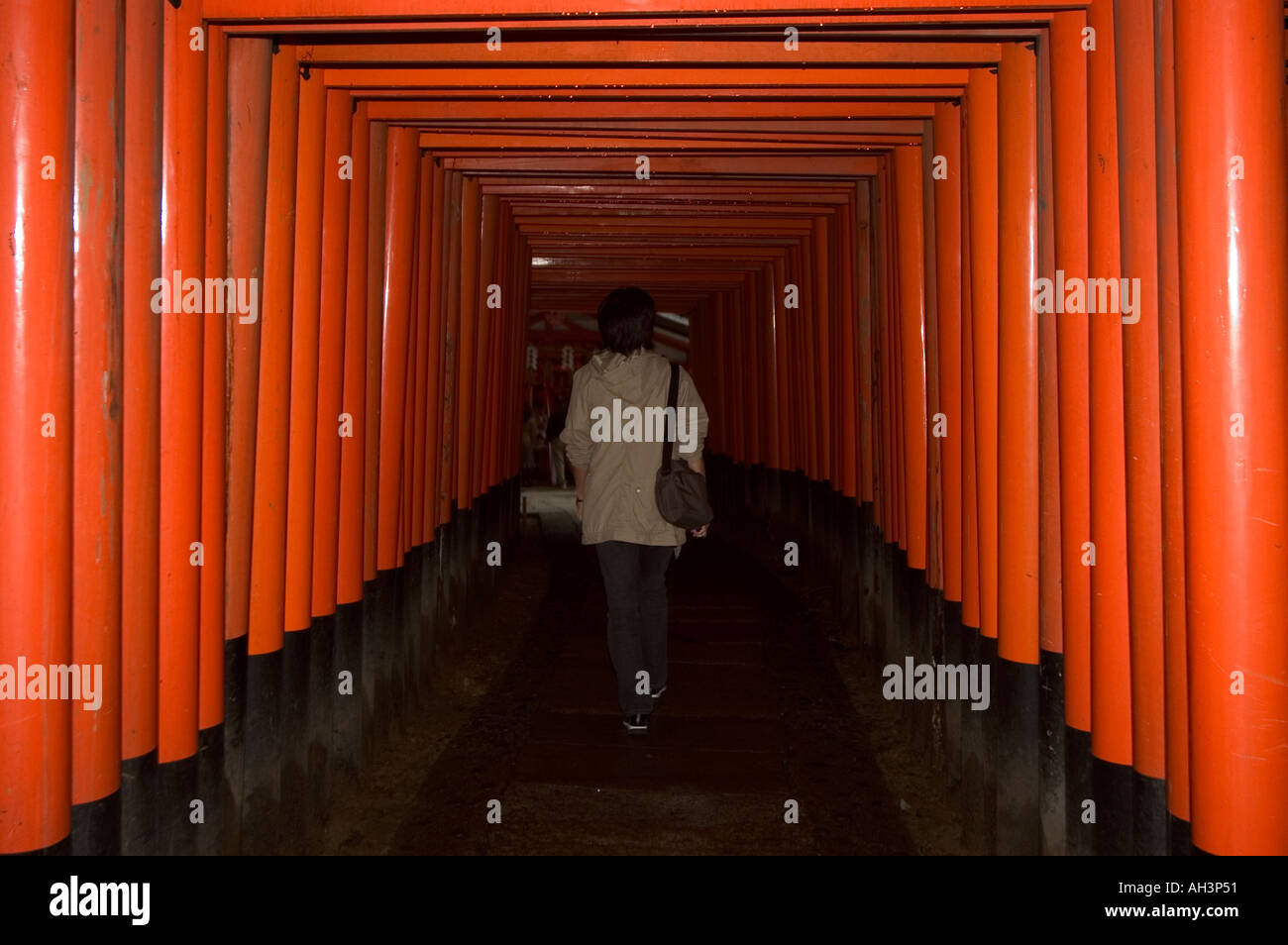 many torii gates Fushimi Inari Taisha jinja Shrine Kyoto city Honshu ...