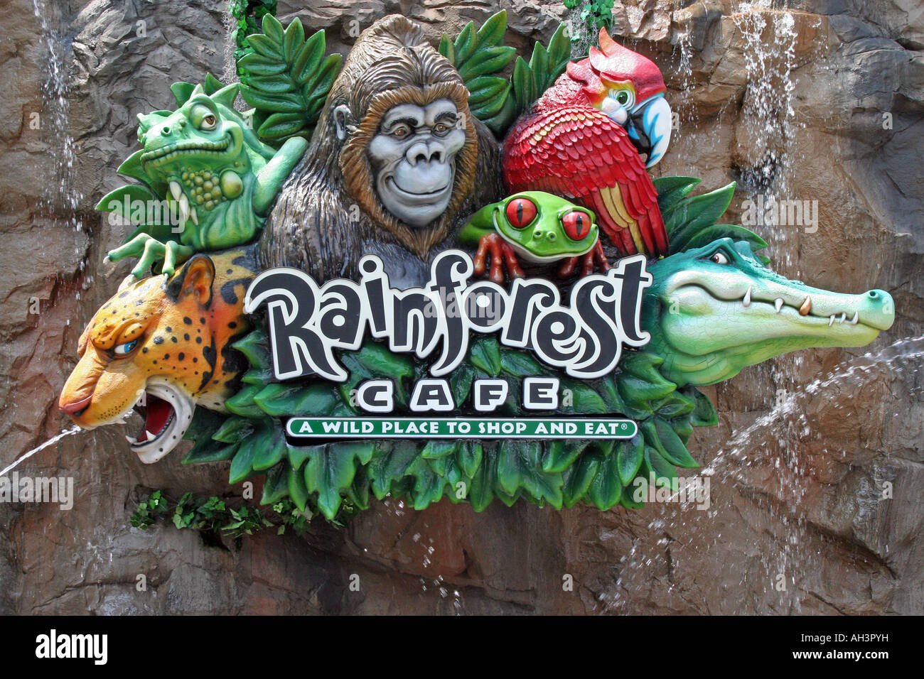 Rainforest Cafe Sign Stock Photo - Alamy