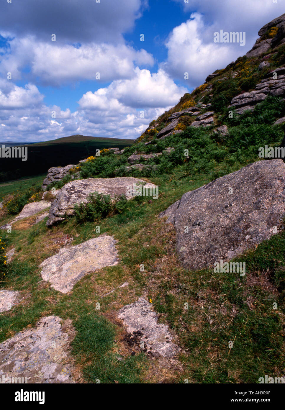 Sharp Tor Dartmoor Stock Photo - Alamy