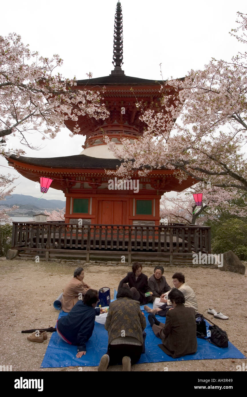 Itsukushima miyajima food hi-res stock photography and images - Alamy