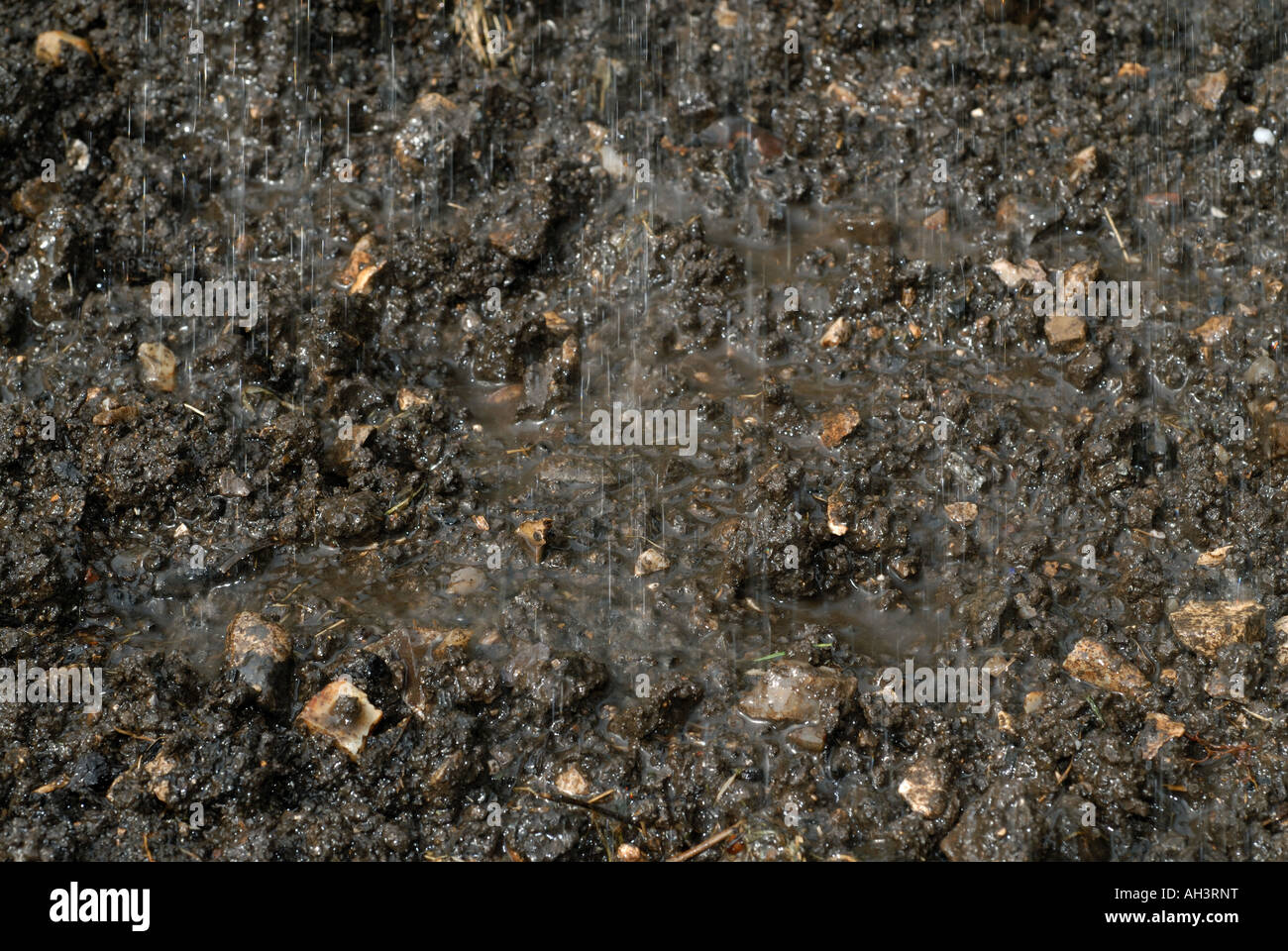 Rain falling on garden soil Stock Photo - Alamy