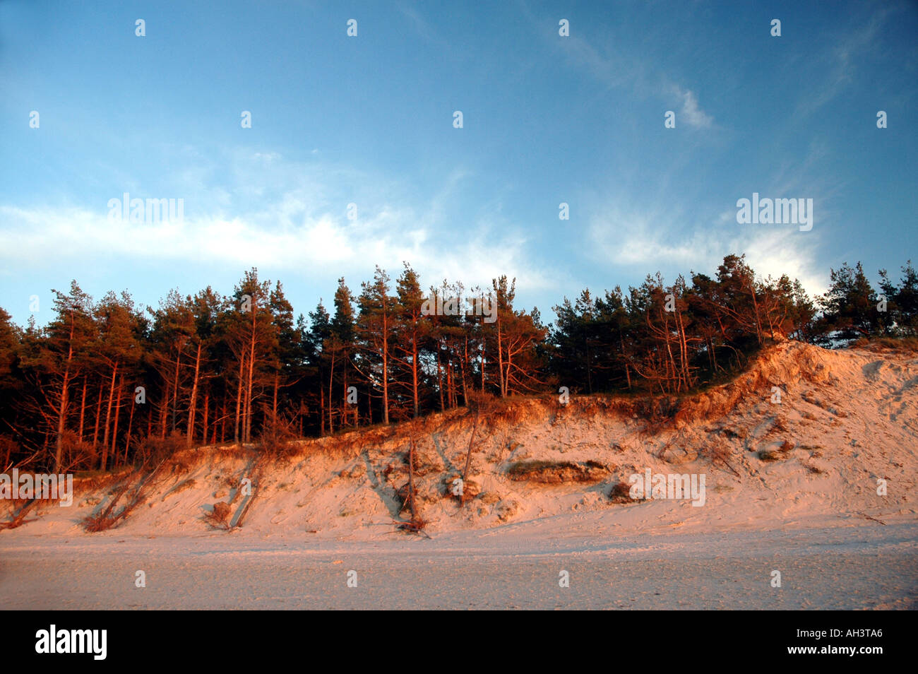 beach in Leba Stock Photo - Alamy