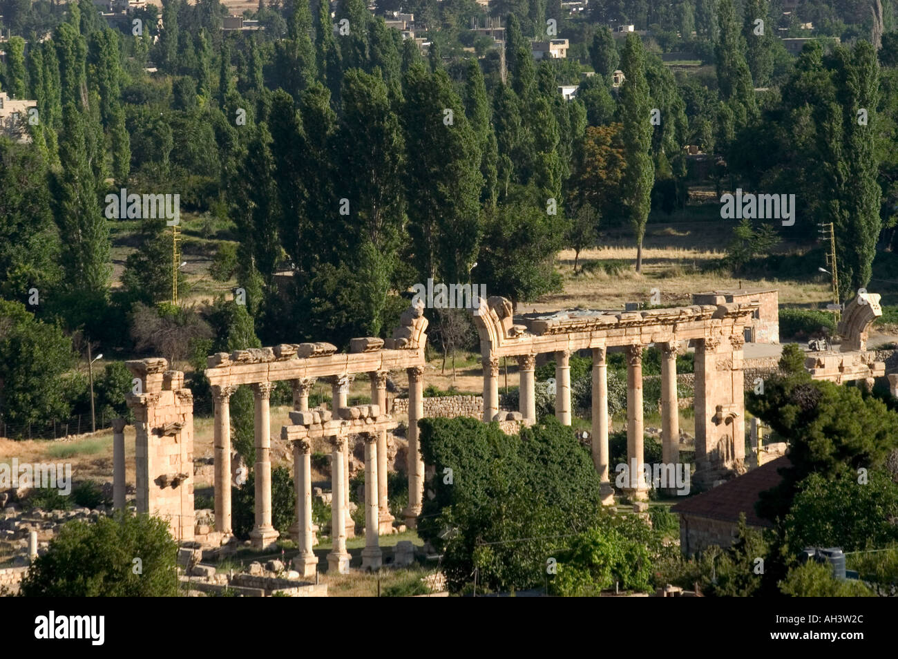 The temple of Bacchus ancient Roman ruins at Baalbeck Lebanon Anti ...