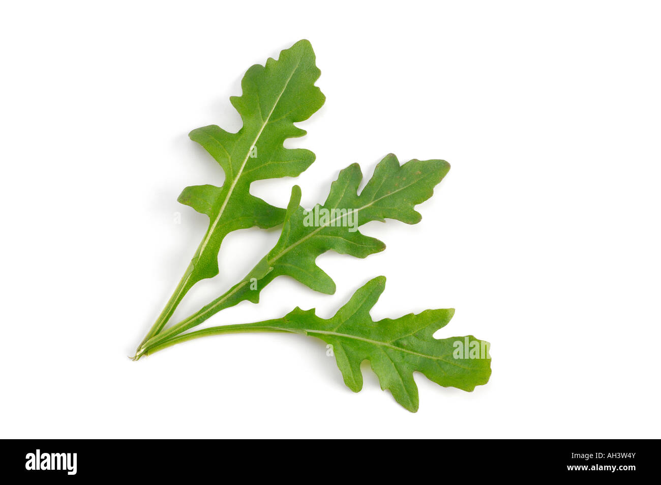 Rocket hi-res stock photography and images - Alamy