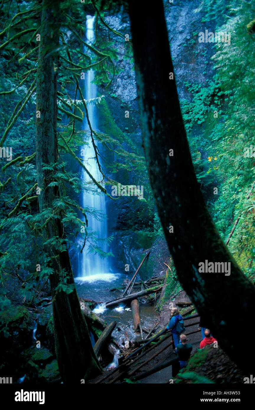 Lake crescent marymere falls hi-res stock photography and images - Alamy