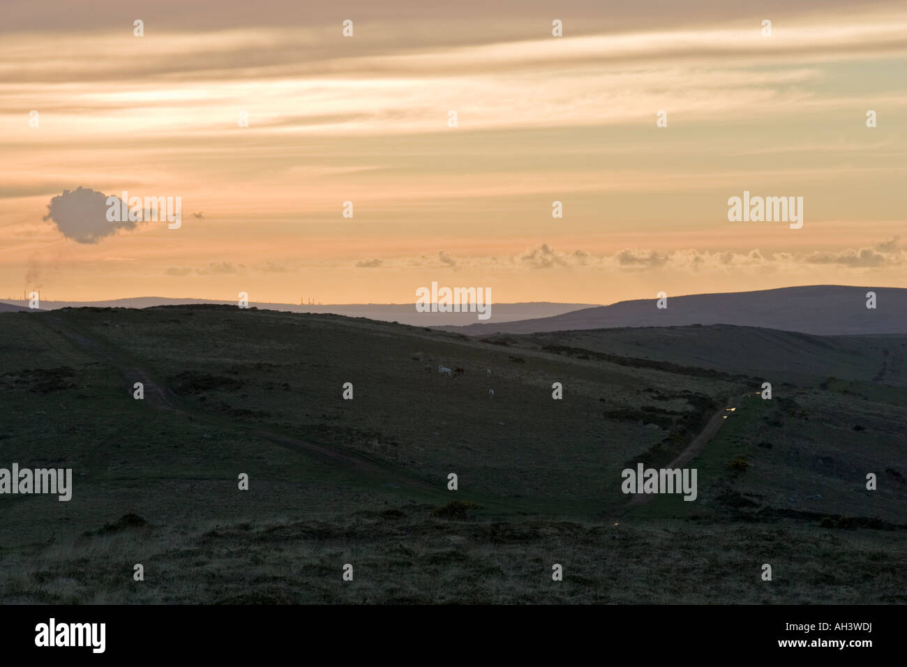 Nicholaston High Resolution Stock Photography and Images - Alamy