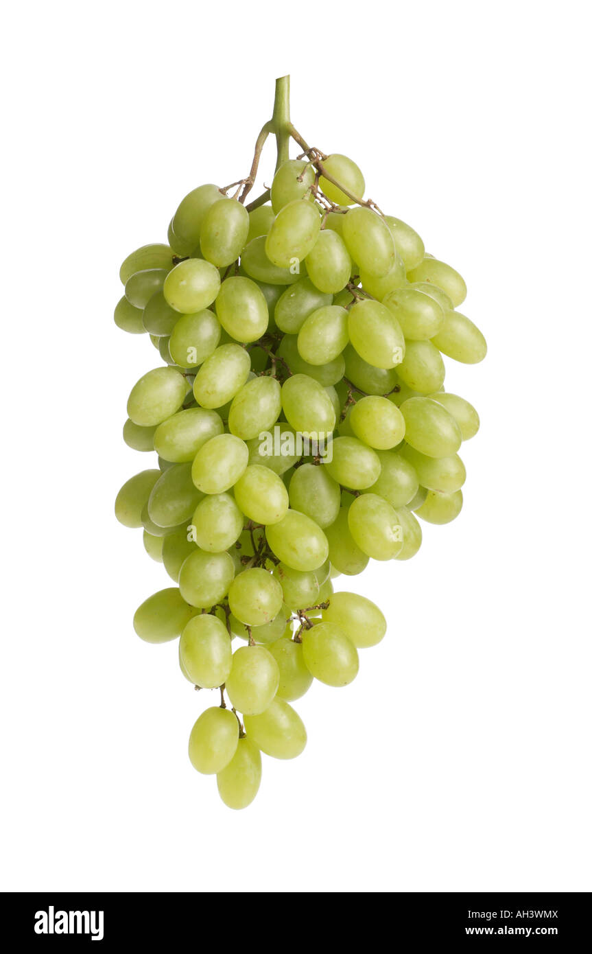 Bunch of Grapes Stock Photo - Alamy
