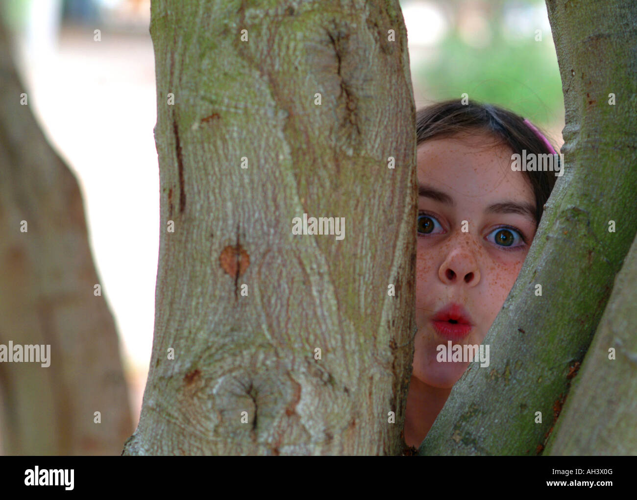 Young girl / child and a tree Stock Photo - Alamy