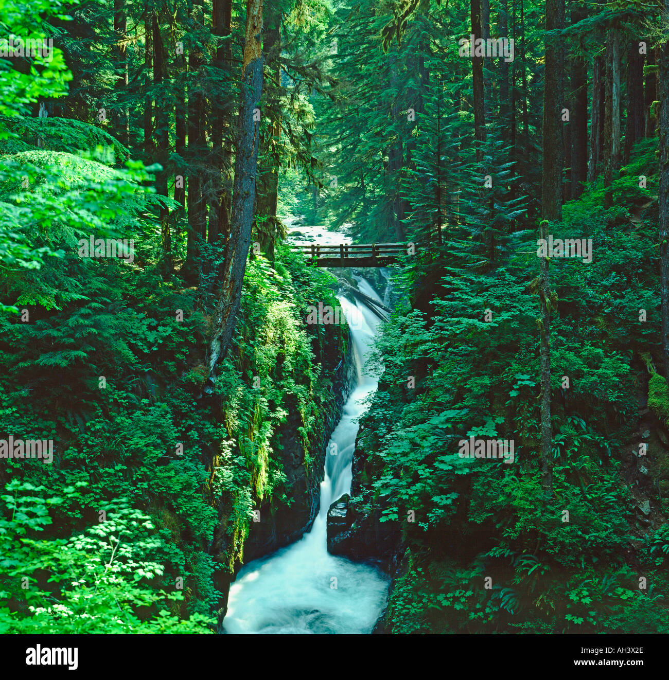 Sol Duc Falls Crescent Lake Washington State USA Stock Photo - Alamy