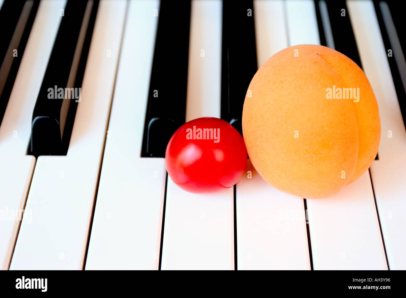 Piano keyboard close up with apricot and tomato complicity touching ...