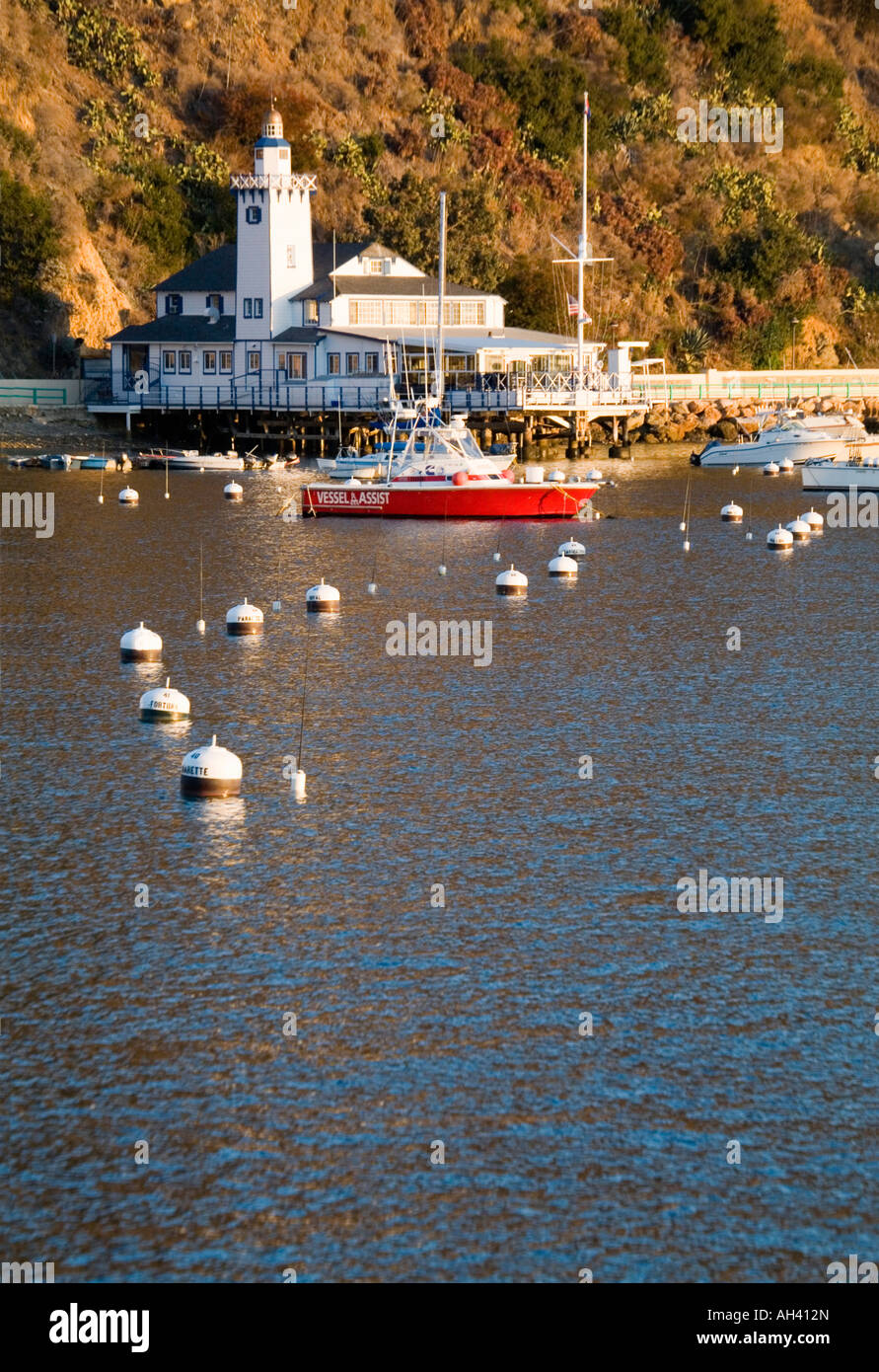 The tuna club of avalon hi-res stock photography and images - Alamy