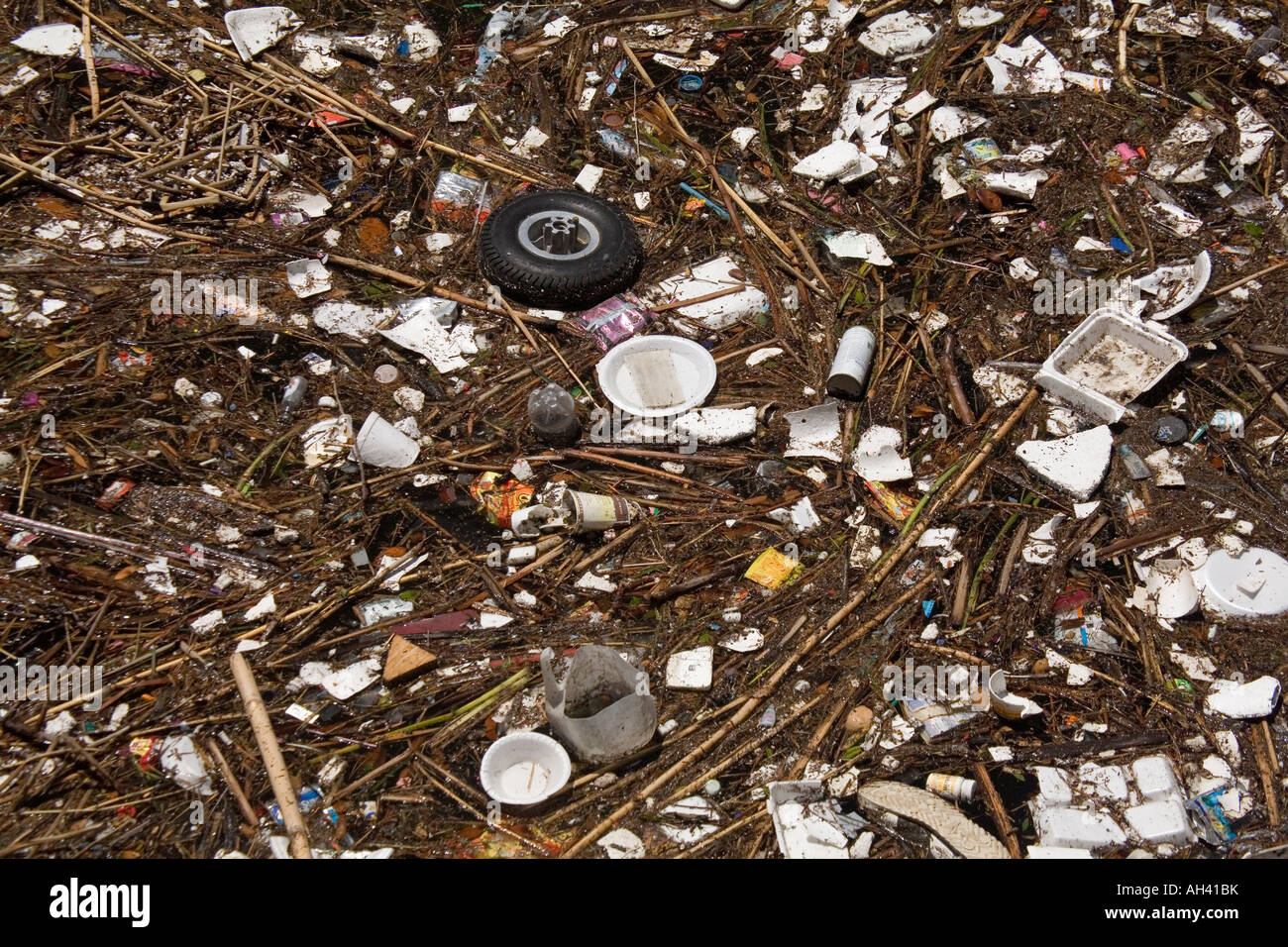 A full frame image of trash and pollution floating along the water's ...