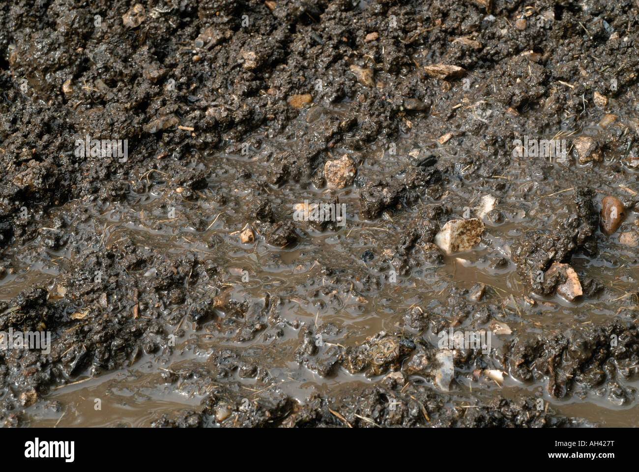 Rain water on garden soil Stock Photo - Alamy