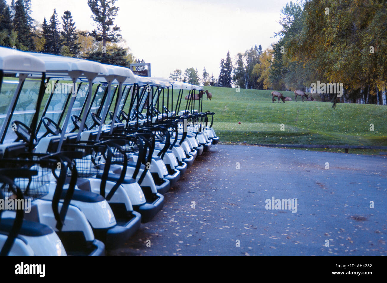 Albert park golf hi-res stock photography and images - Alamy