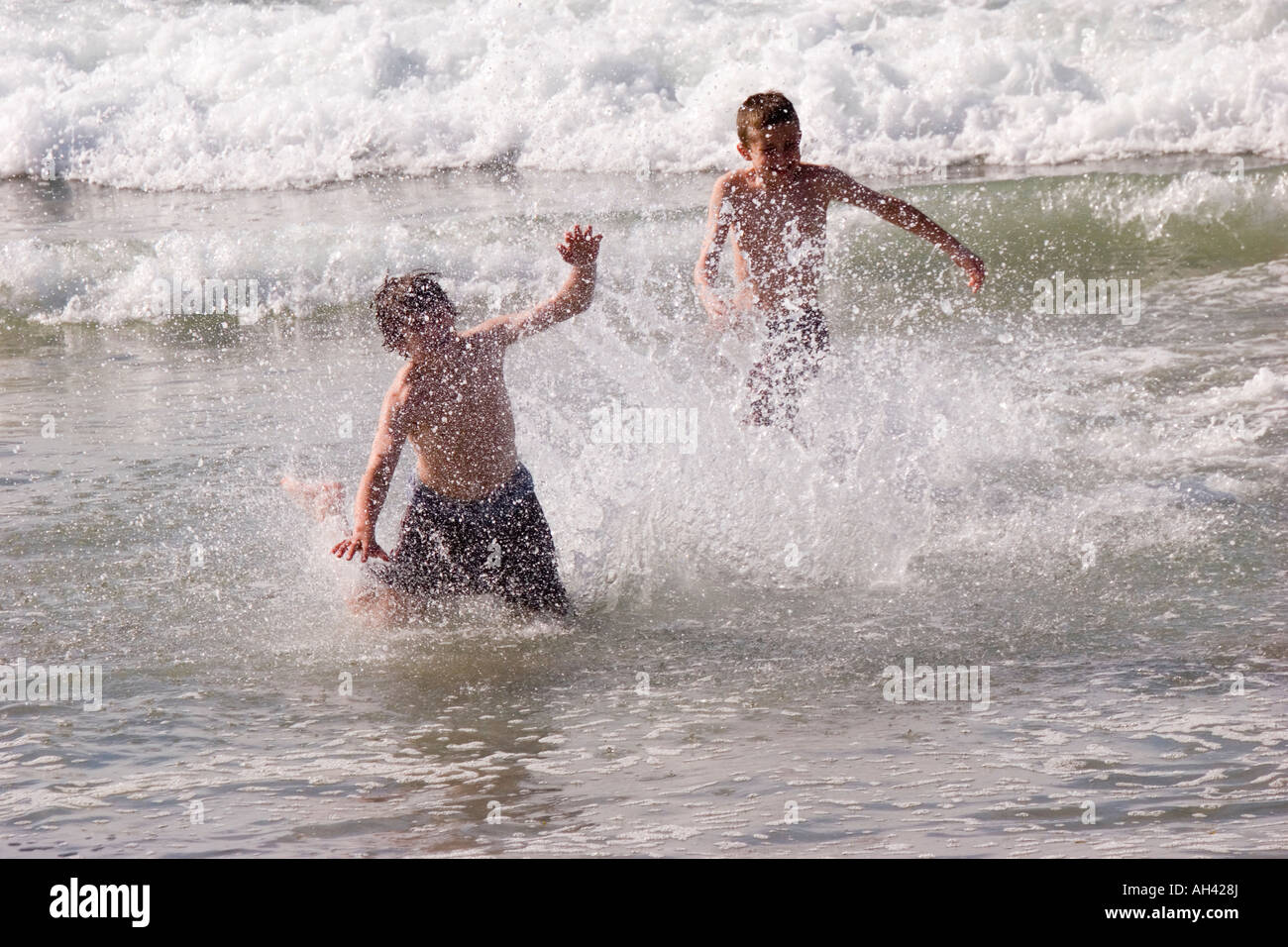 Two young boys play, splash and frolic in the waves at a beach Stock ...