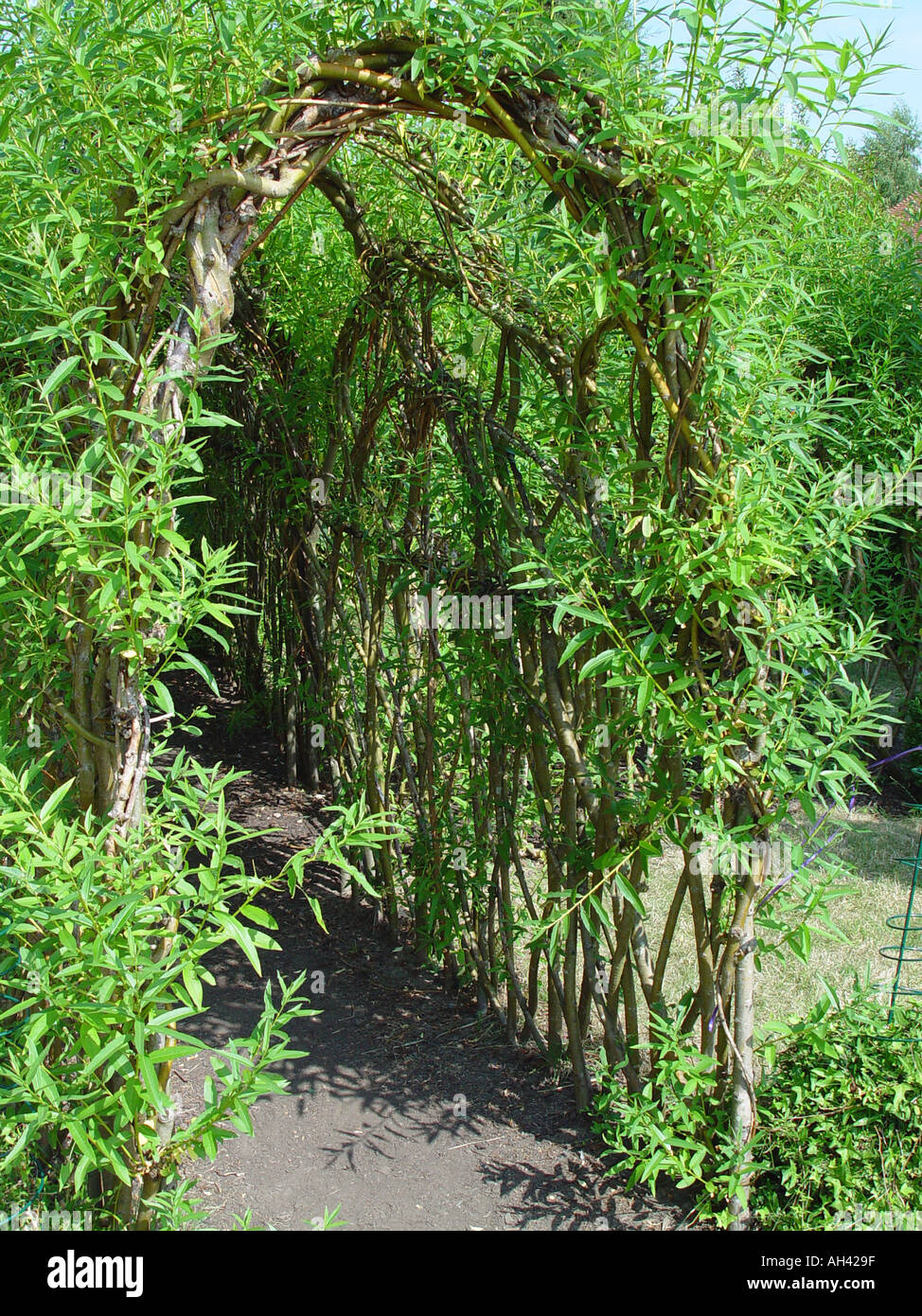 Willow arch hi-res stock photography and images - Alamy
