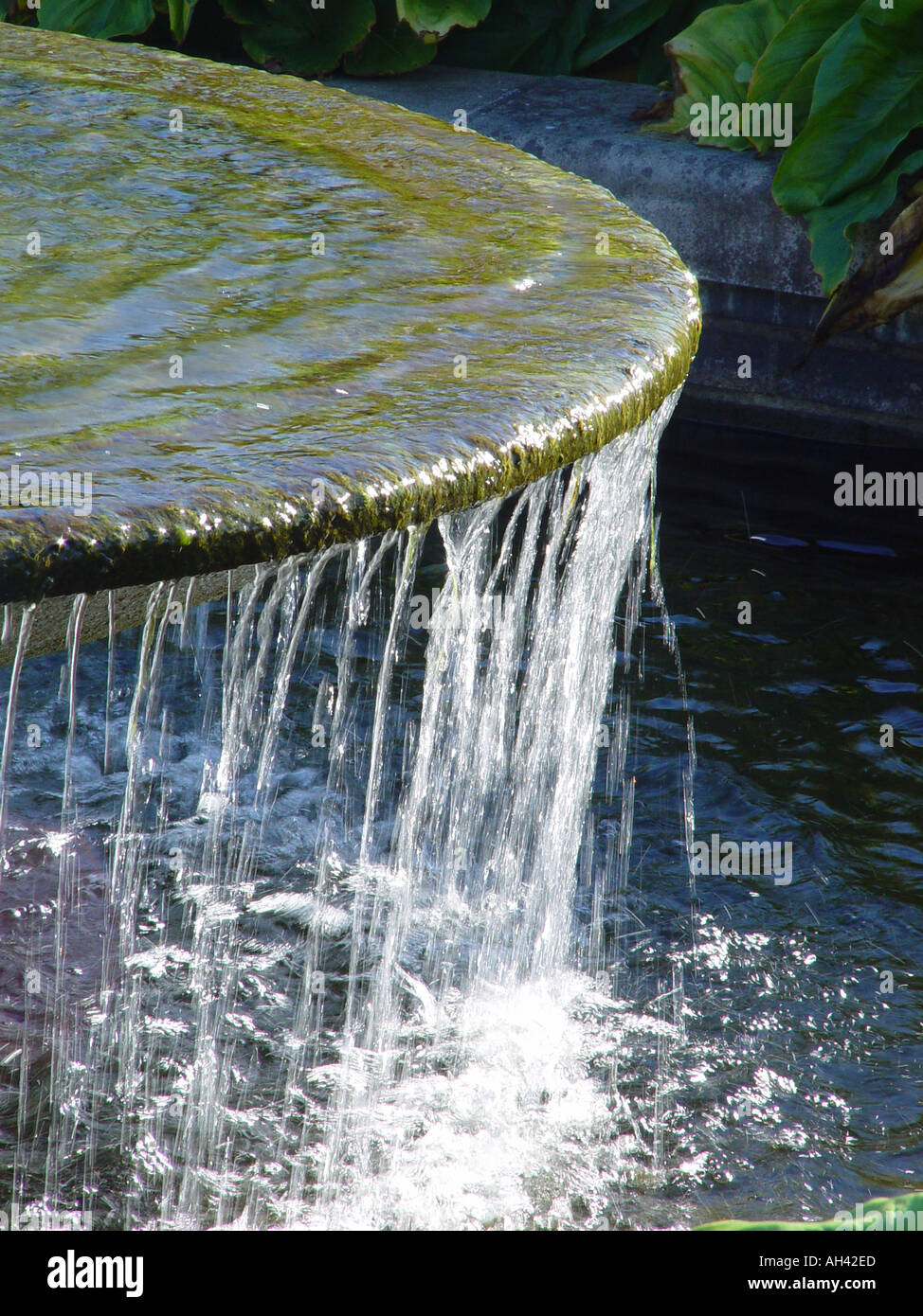 Water feature waterfall at RHS Wisley garden Stock Photo - Alamy