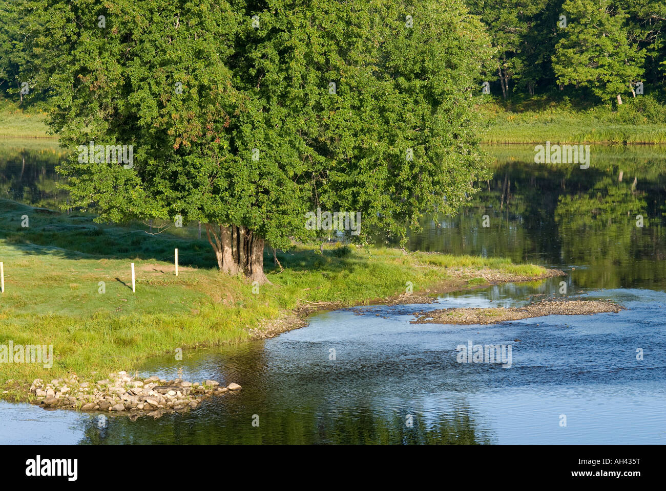 Miramichi River at the Salmon Museum Doaktown New Brunswick Stock Photo ...