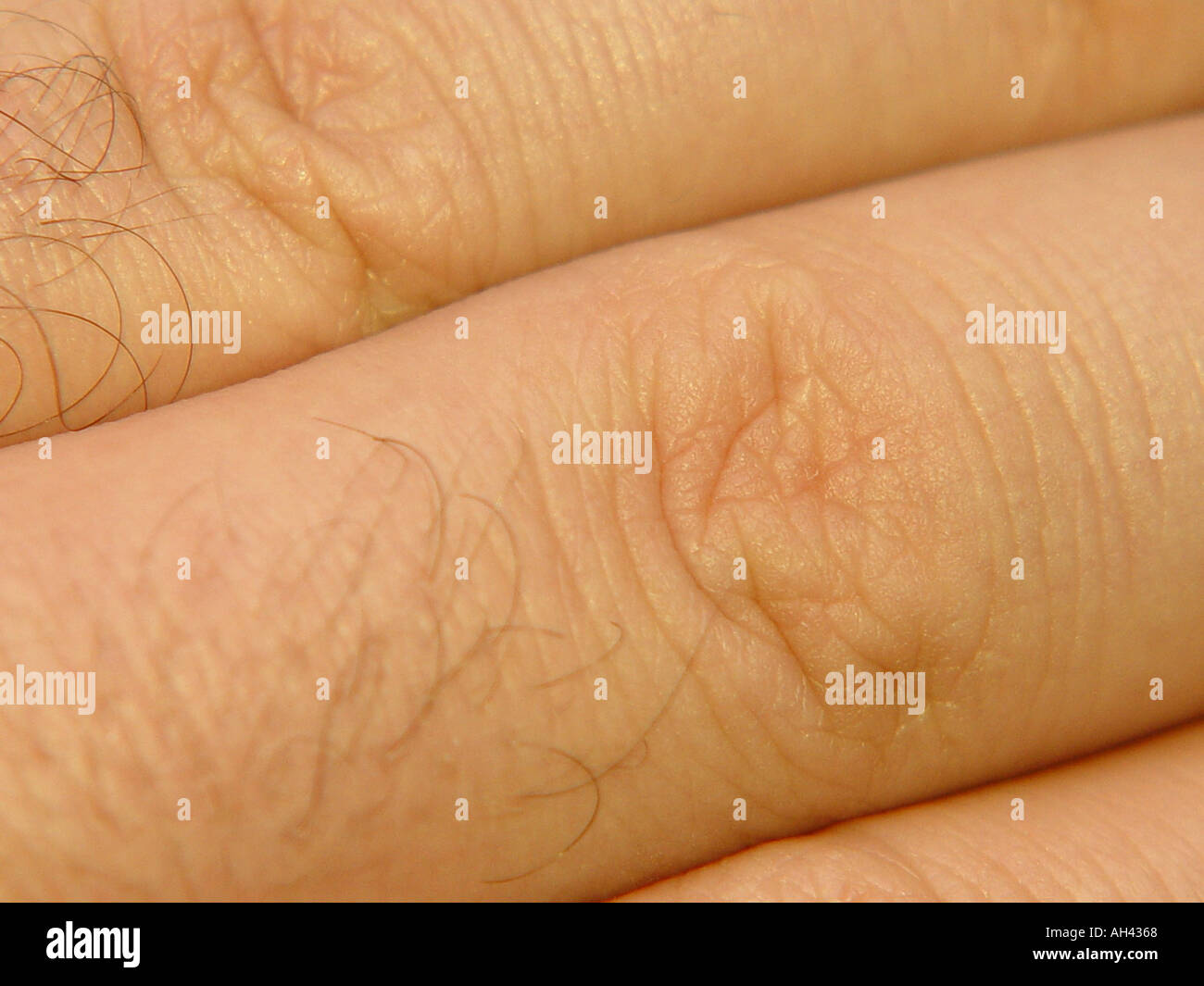 Hairy knuckles hi-res stock photography and images - Alamy