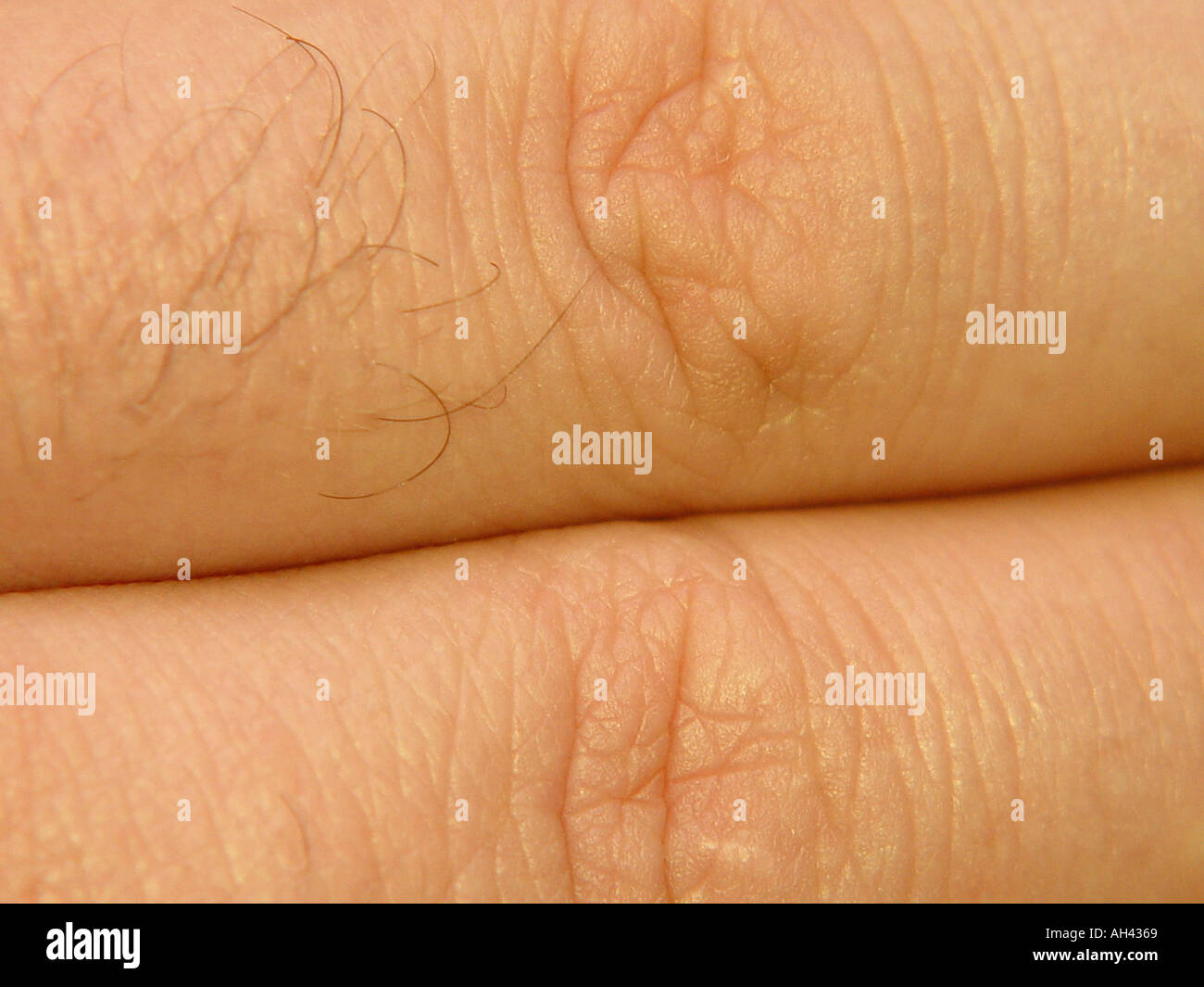 Hairy knuckles hi-res stock photography and images - Alamy