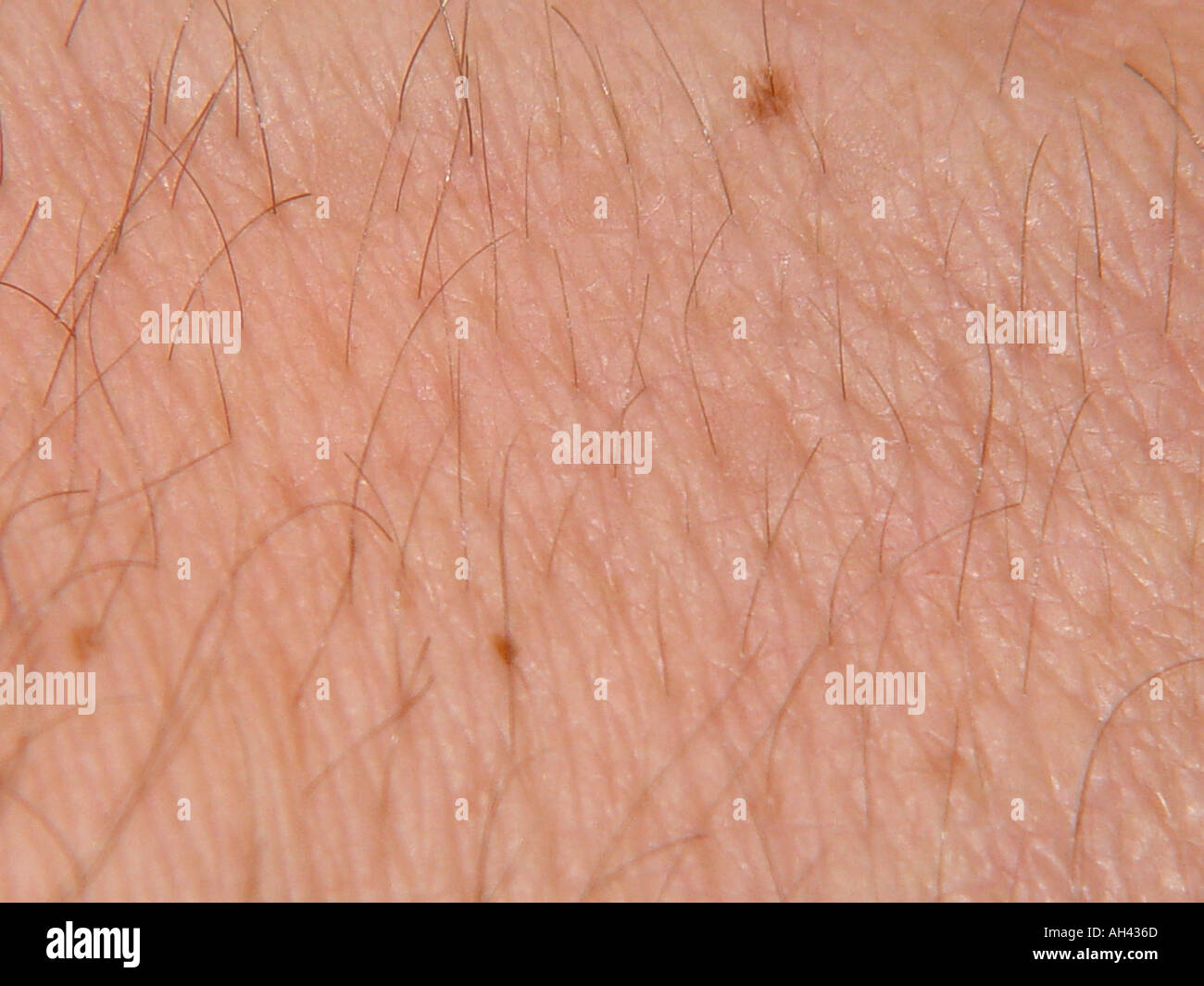 Skin ageing cells hi-res stock photography and images - Alamy