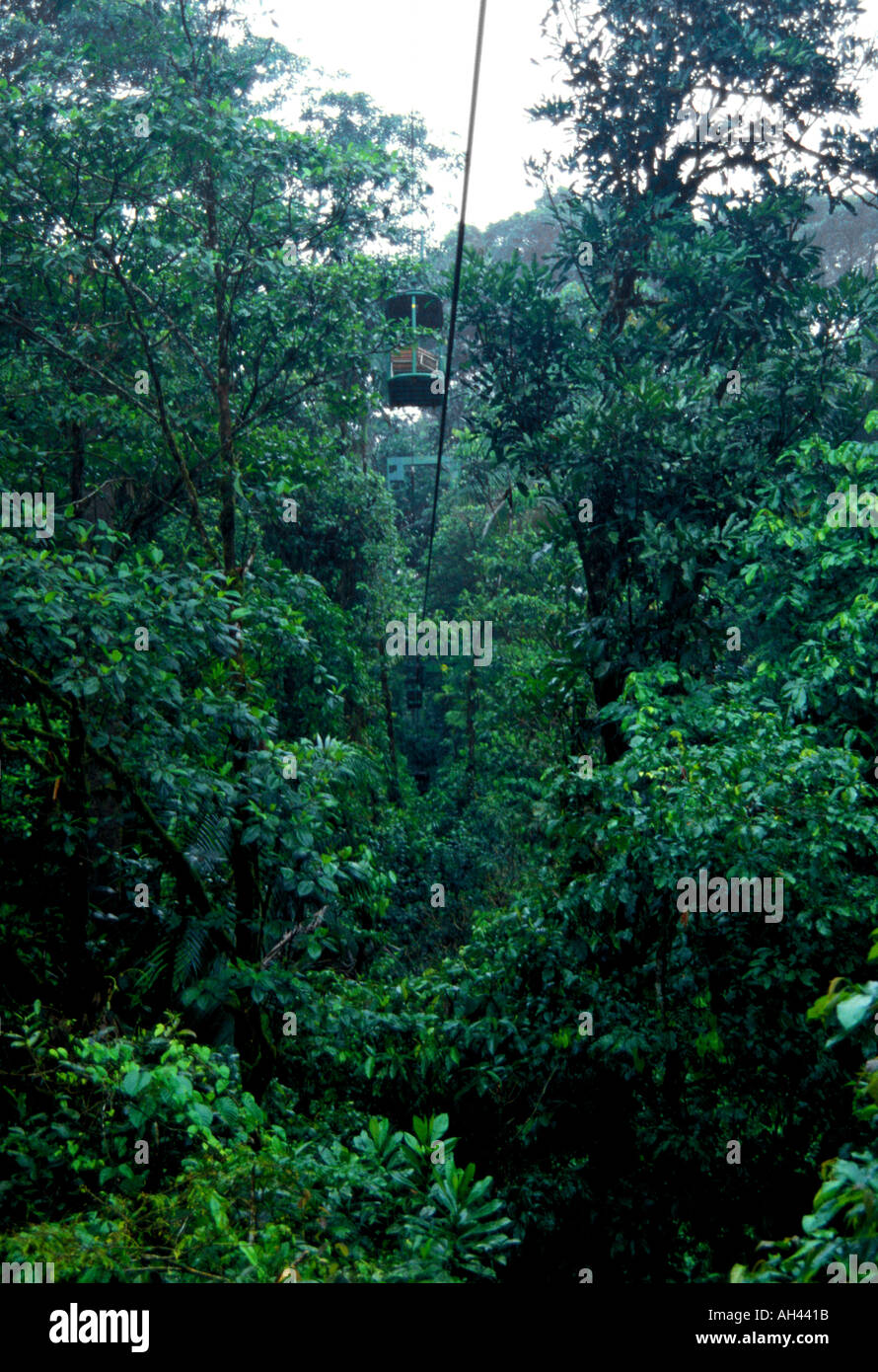 The Canopy of the Costa Rica Rainforest, Braulio Carrillo National Park ...