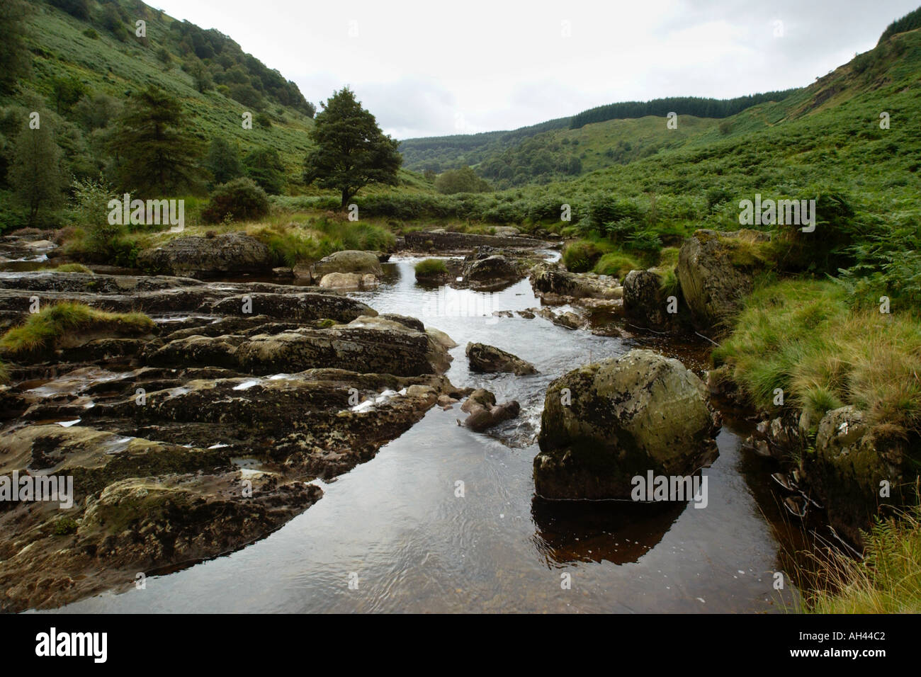 River Irfon which has suffered acid rain pollution pictured above ...
