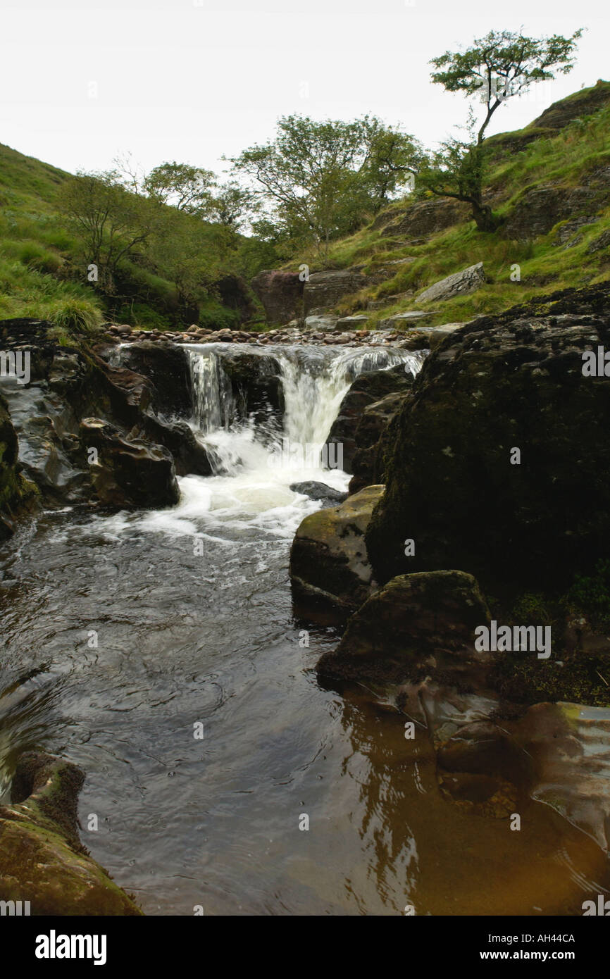 River Irfon which has suffered acid rain pollution pictured above ...