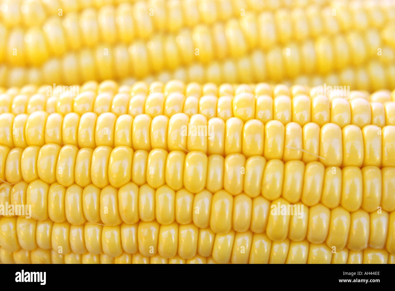 Sweat corn hi-res stock photography and images - Alamy