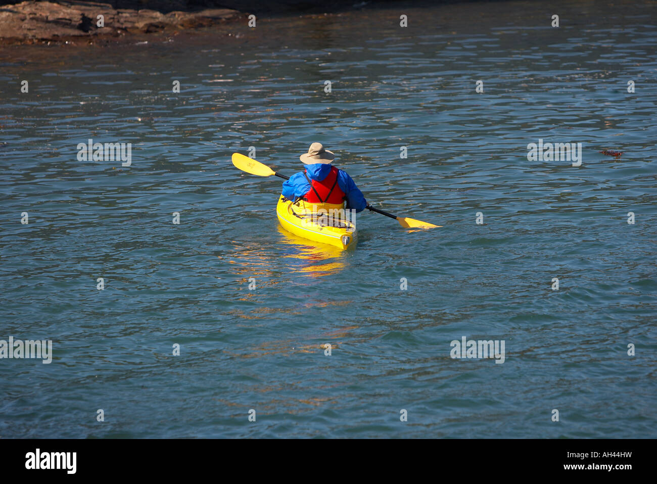 Kayak bar harbor maine hi-res stock photography and images - Alamy