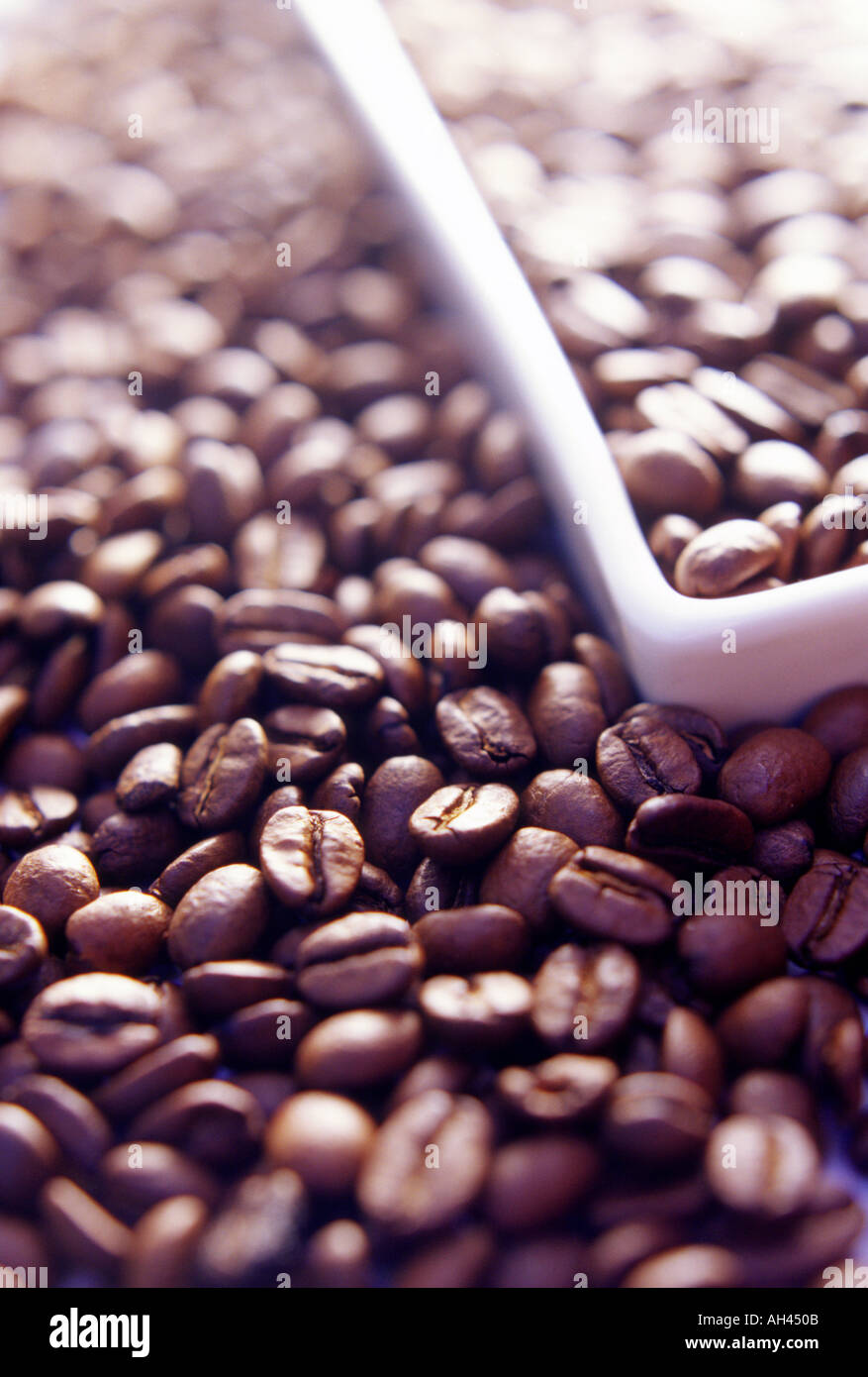 Shallow square white plate filled with roasted coffee beans on top of a ...