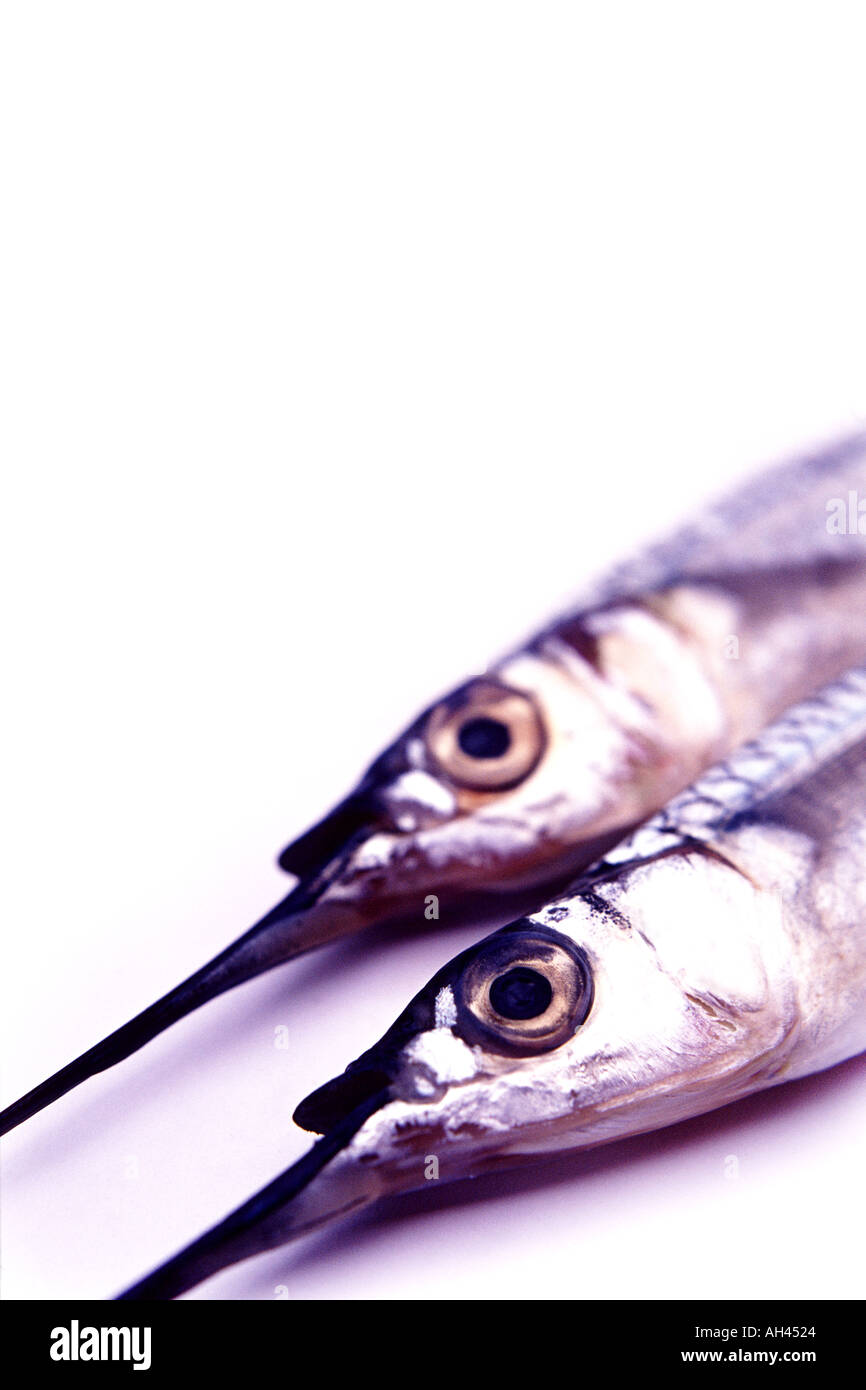 Pointy heads hi-res stock photography and images - Alamy