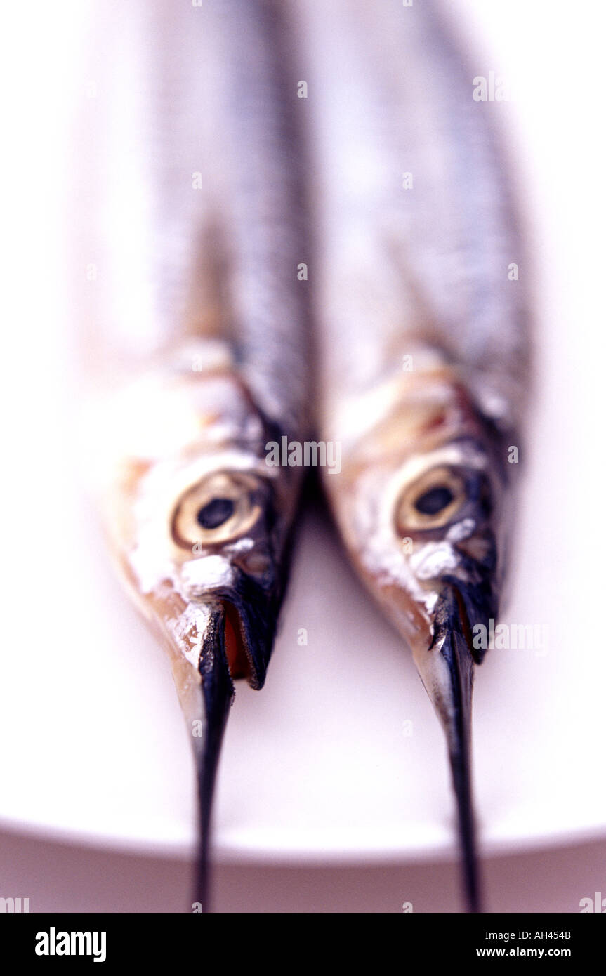 Pointy scales hi-res stock photography and images - Alamy