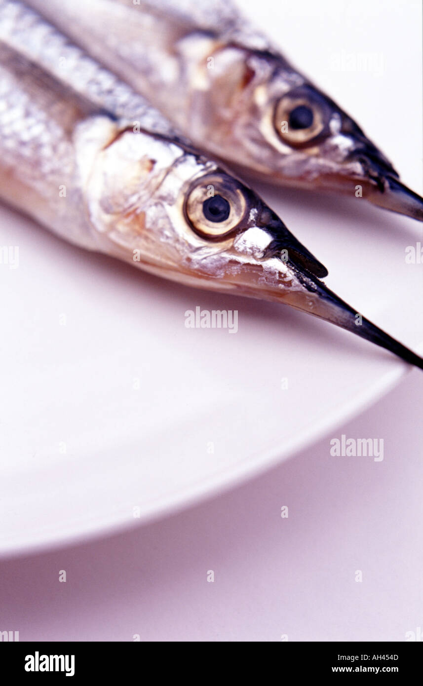 Pointy scales hi-res stock photography and images - Alamy