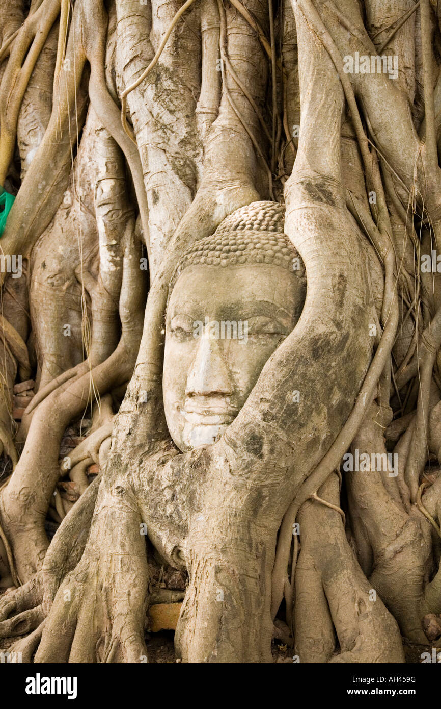 Buddha Enlightenment Tree Art High Resolution Stock Photography and ...