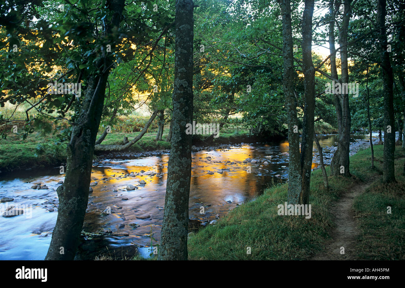 Breamish northumberland hi-res stock photography and images - Alamy