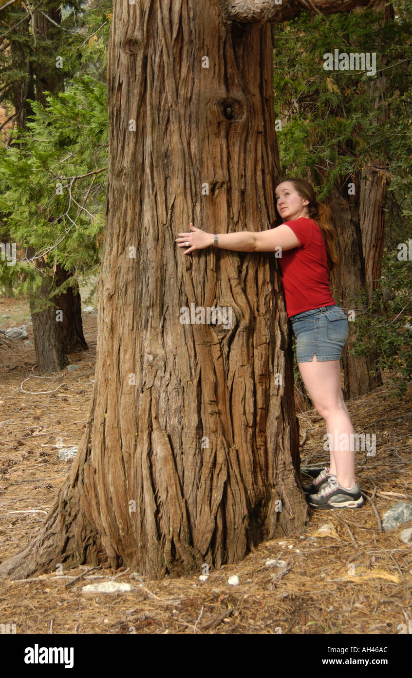 Girl hugging a tree Stock Photo - Alamy