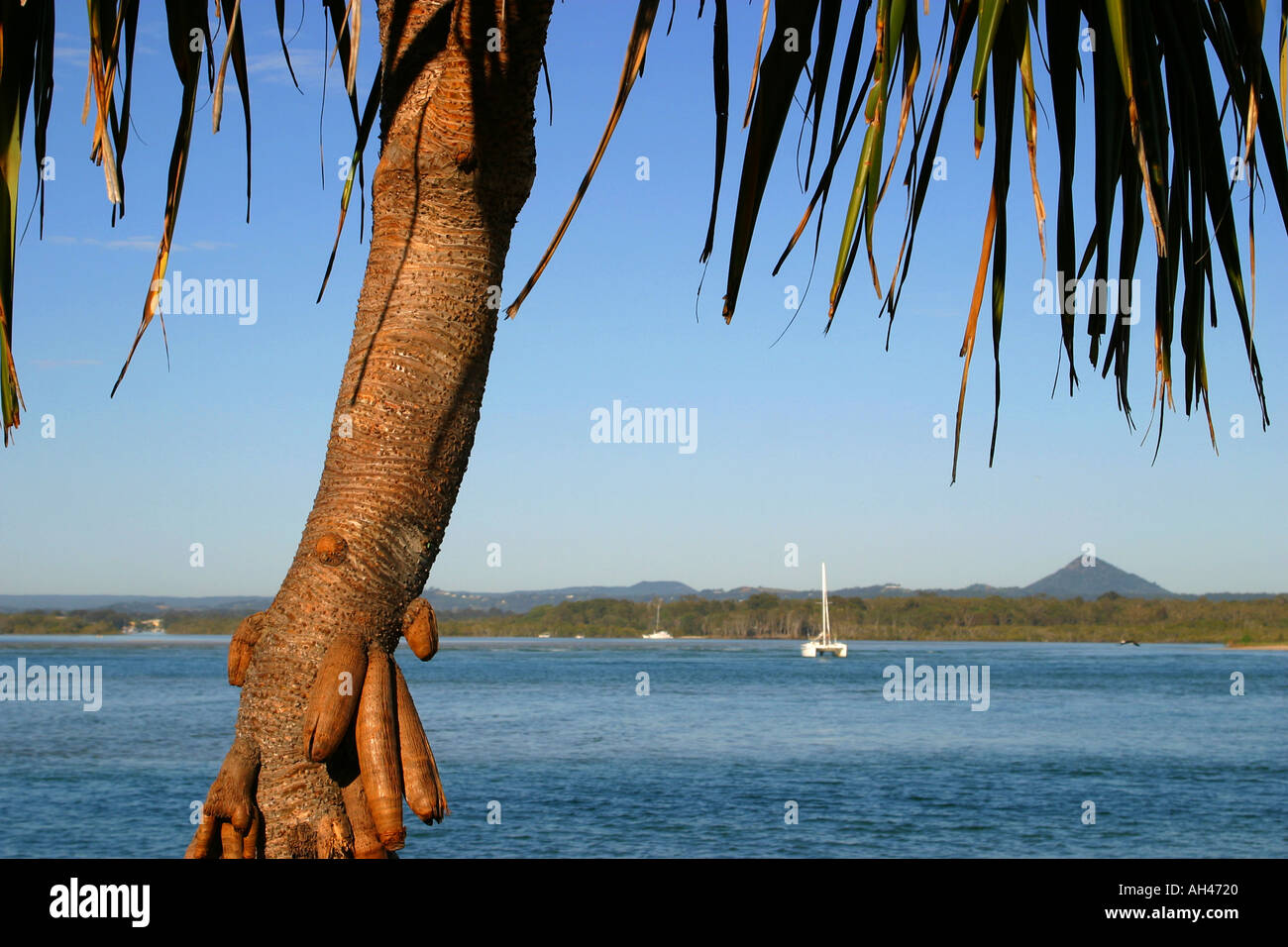 Noosa australia hi-res stock photography and images - Alamy