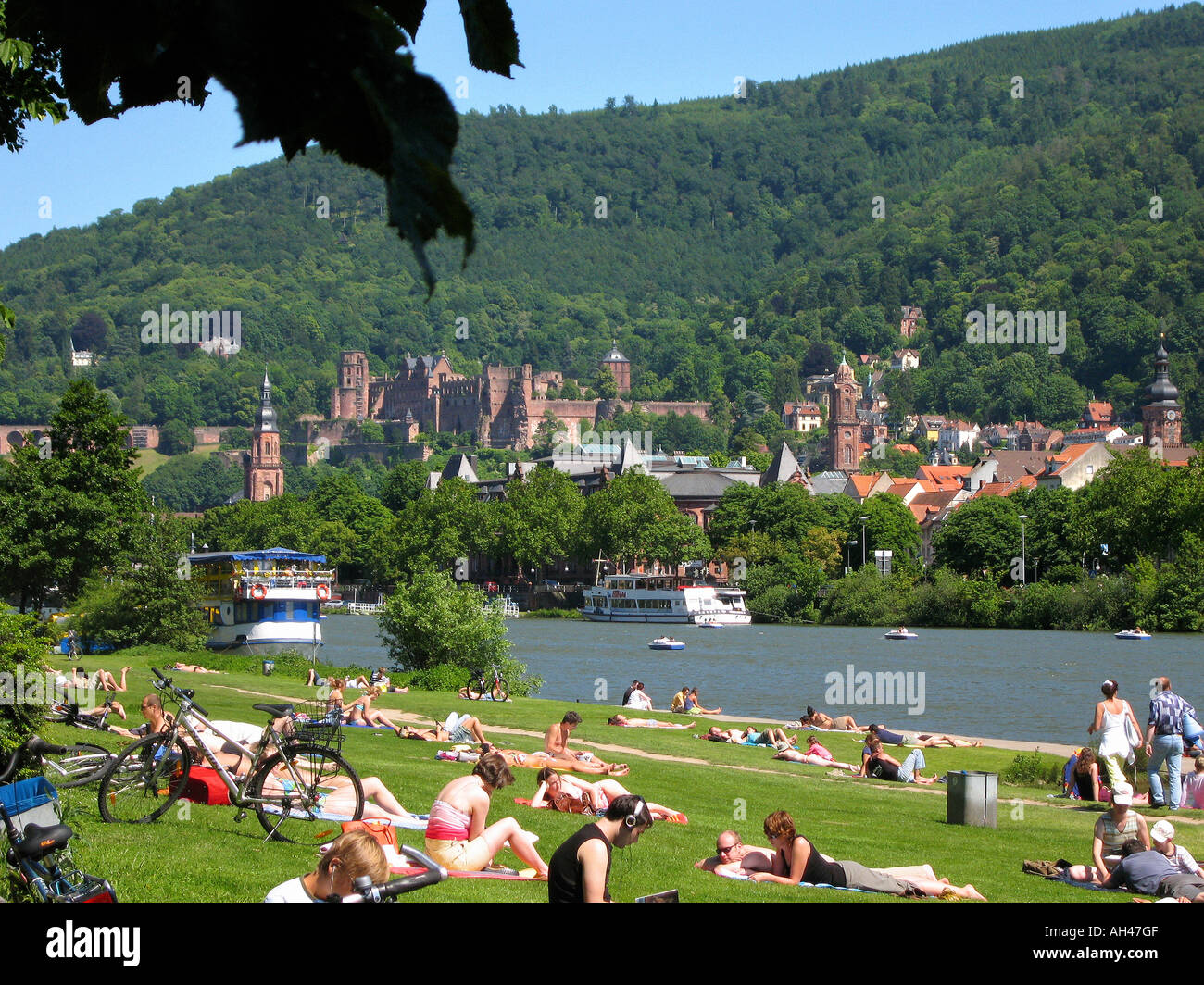 view from neckar river to the heidelberg castle Blick auf Heidelberg ...