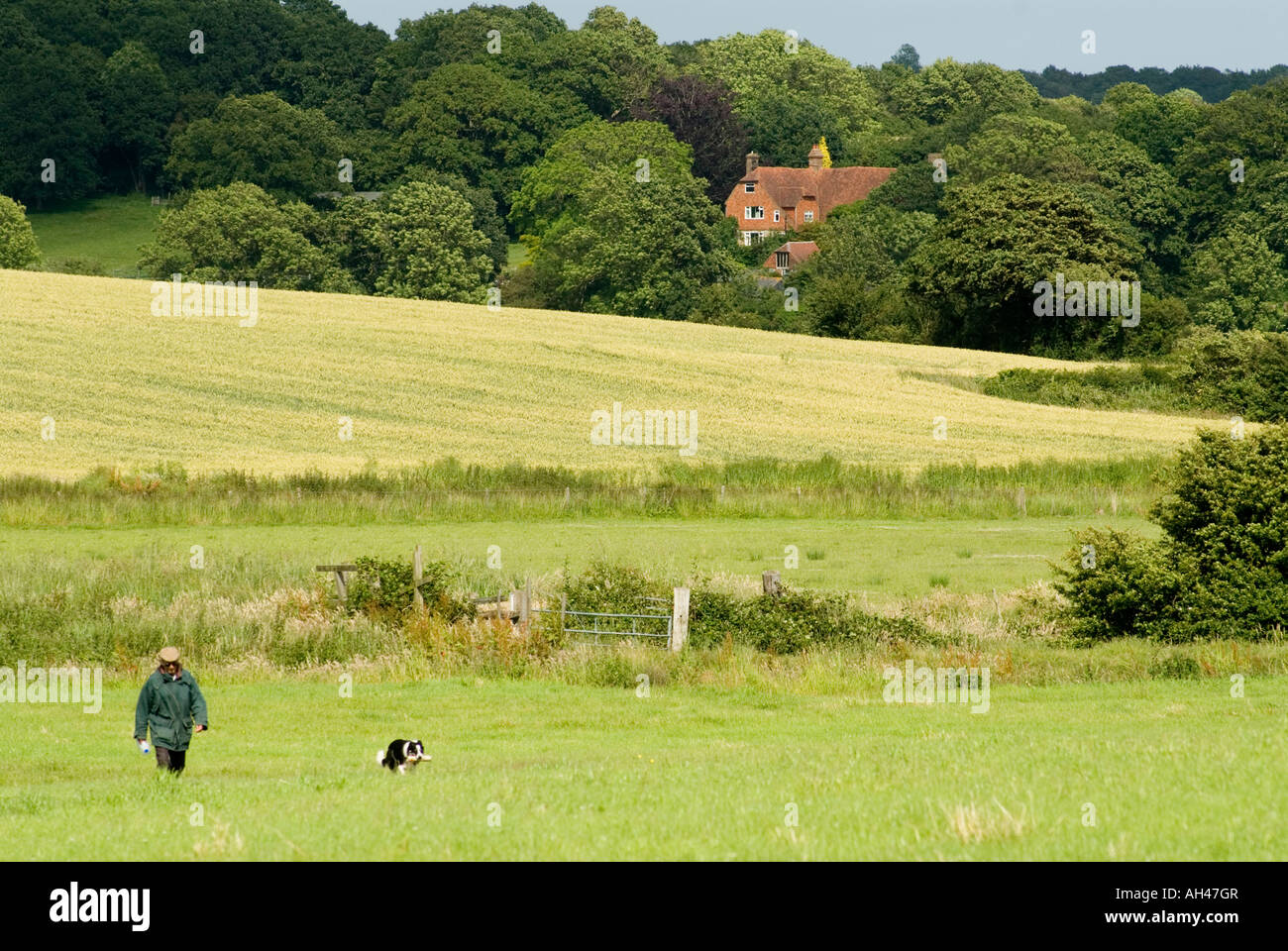 Man walking dog Combe Haven Valley East Sussex Stock Photo - Alamy