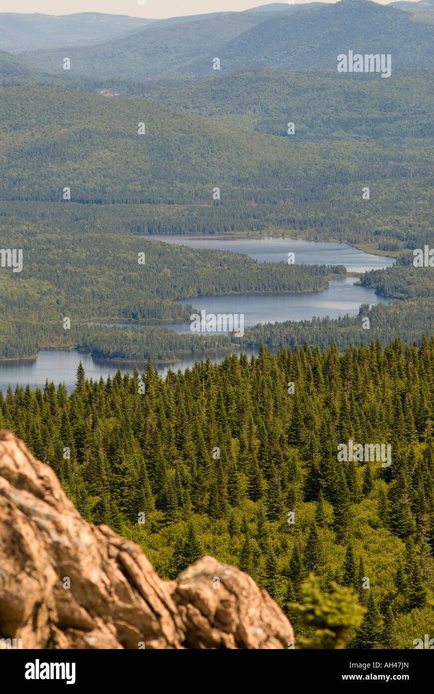 View from Mt Carleton in Mt Carleton Provincial Park with Nictau Lake ...