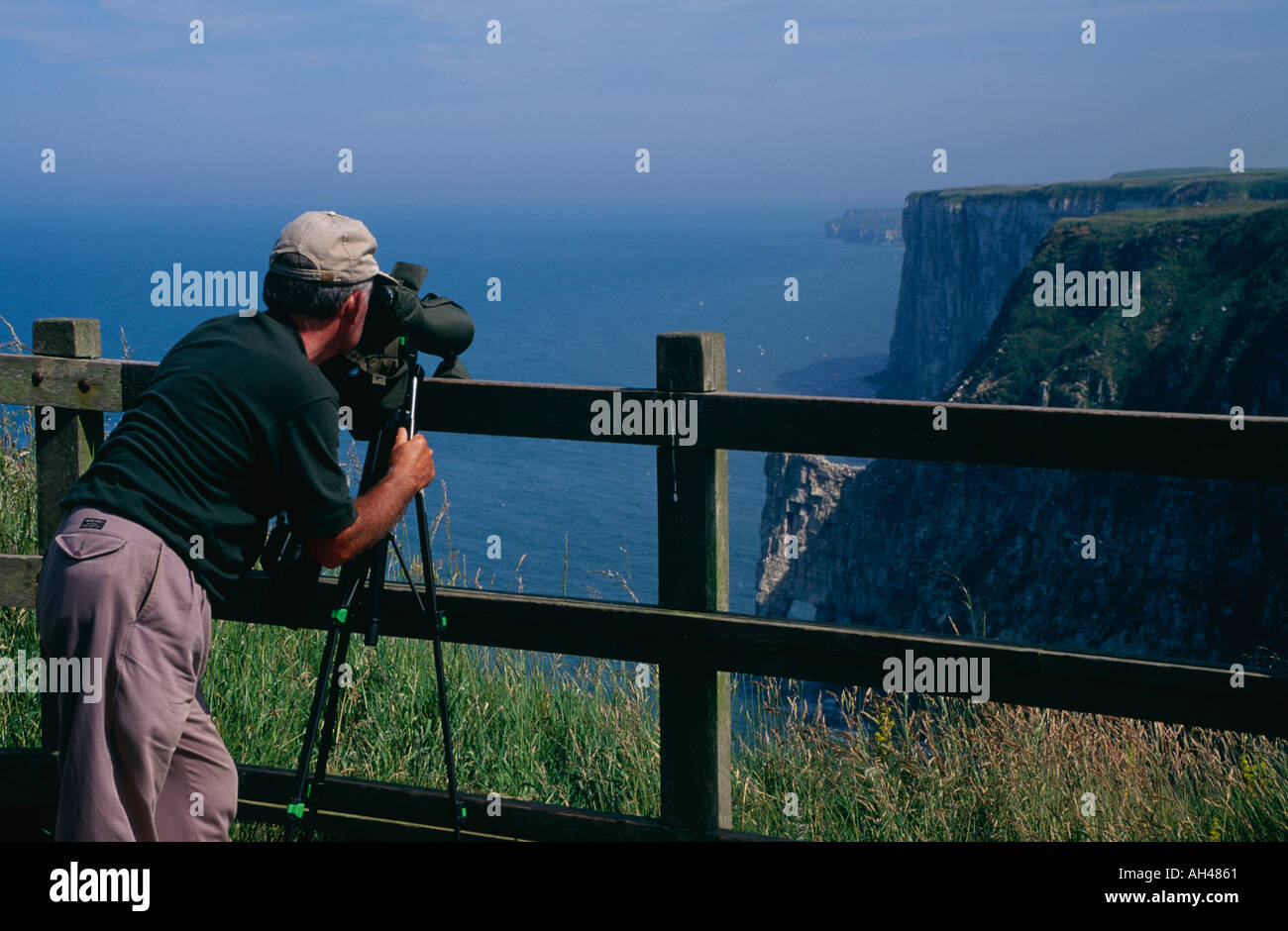 Bempton Cliffs RSPB Reserve Flamborough Head North Yorkshire England ...
