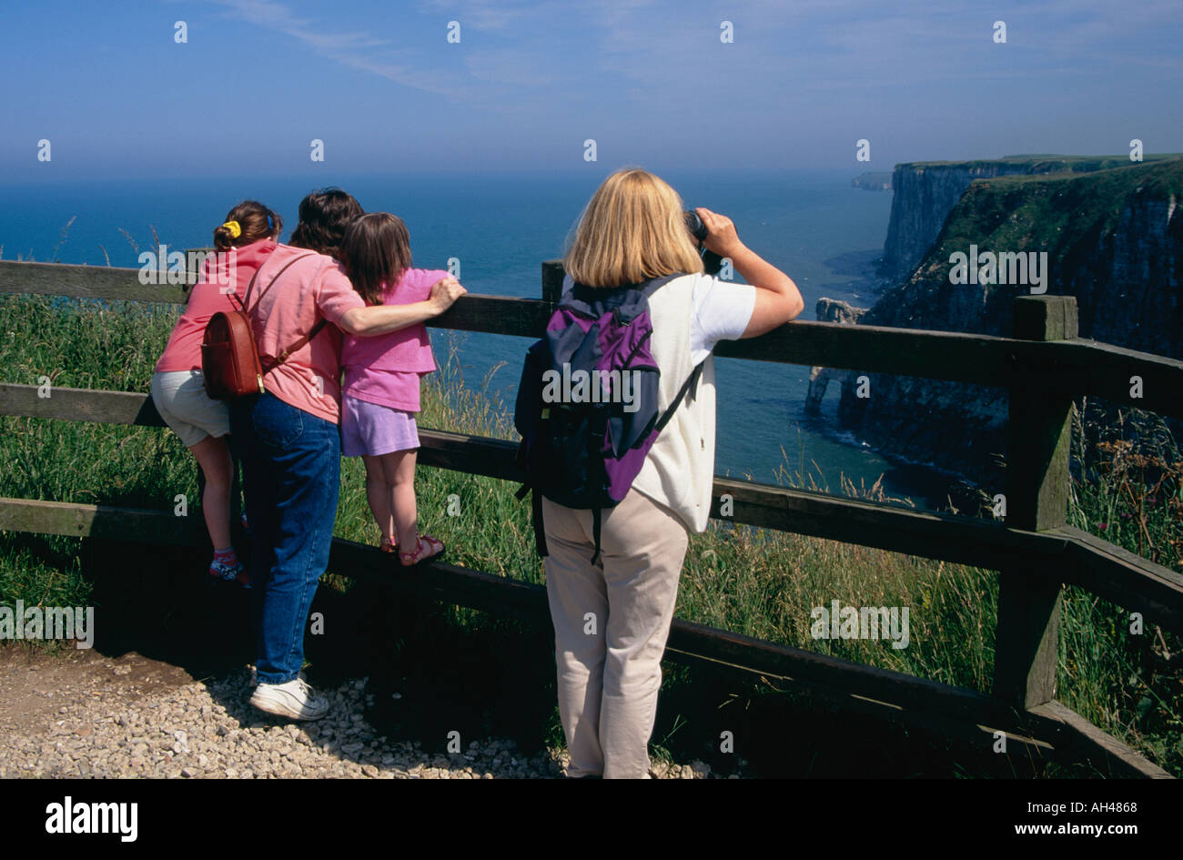 Bempton Cliffs RSPB Reserve Flamborough Head North Yorkshire England ...