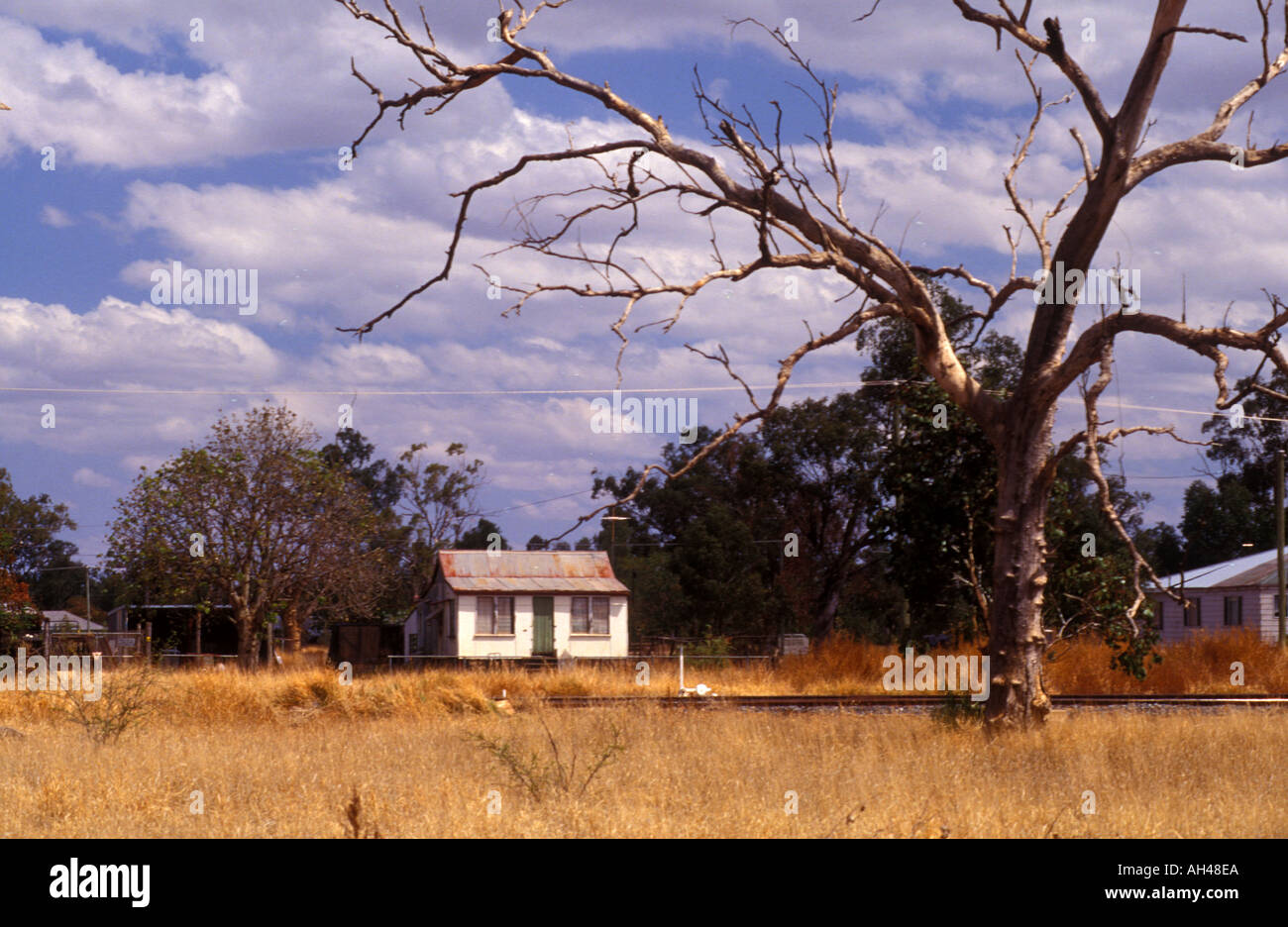 old house dead tree and dry fields 0896 Stock Photo - Alamy