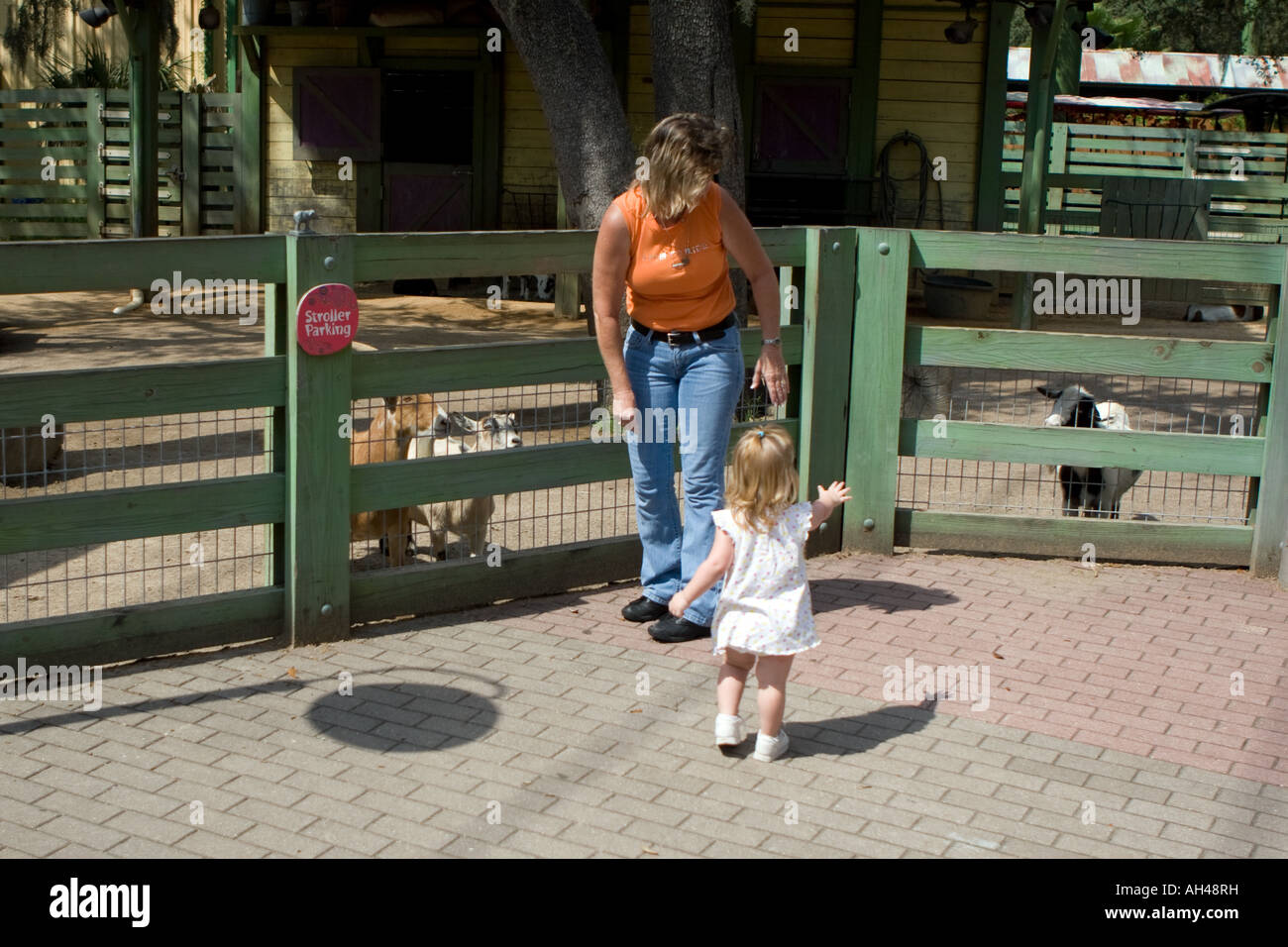 Woman and Baby Playing at Petting Zoo Stock Photo - Alamy